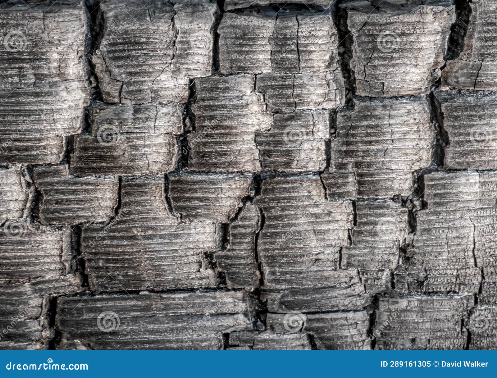 Wood Textured Burned and Charred by Fire. Stock Image - Image of ...