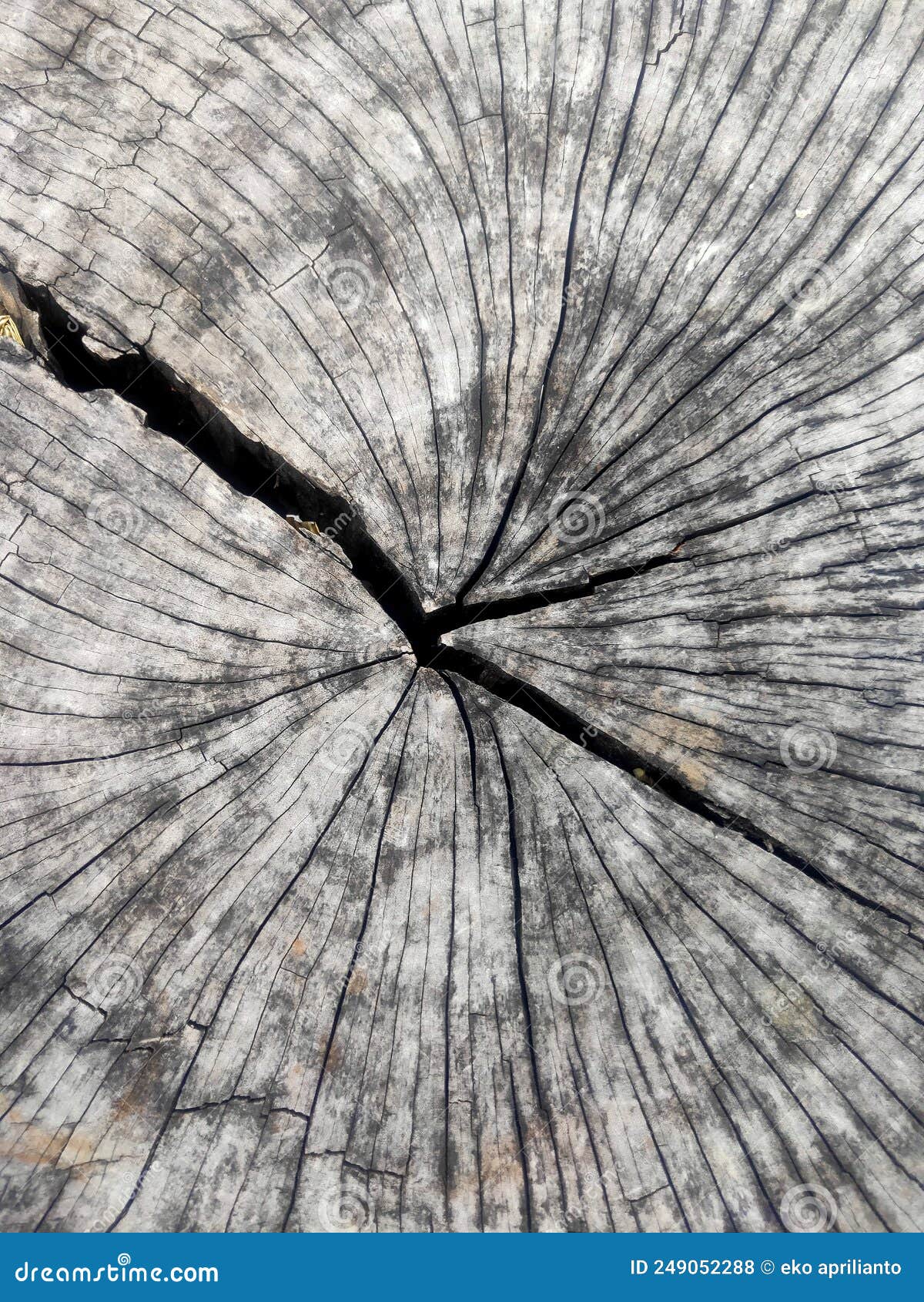 Wood textures stock photo. Image of woodent, used, textures - 249052288