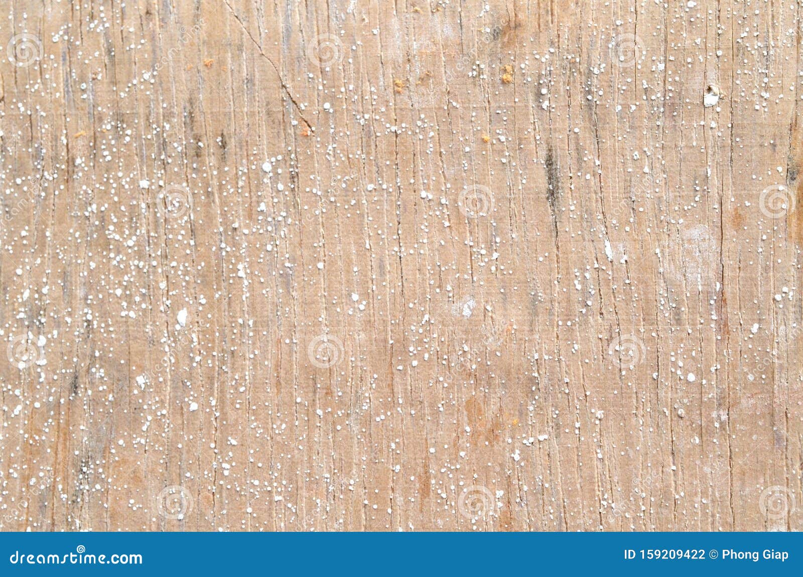 Wood Textures. Pattern, Brown. Stock Photo - Image of macro, grain ...