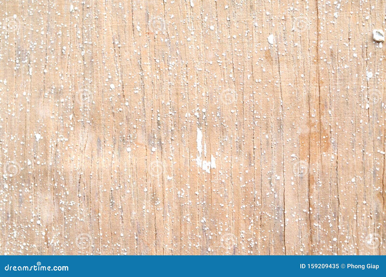 Wood Tileable Floor Seamless Texture Royalty-Free Stock Photography ...