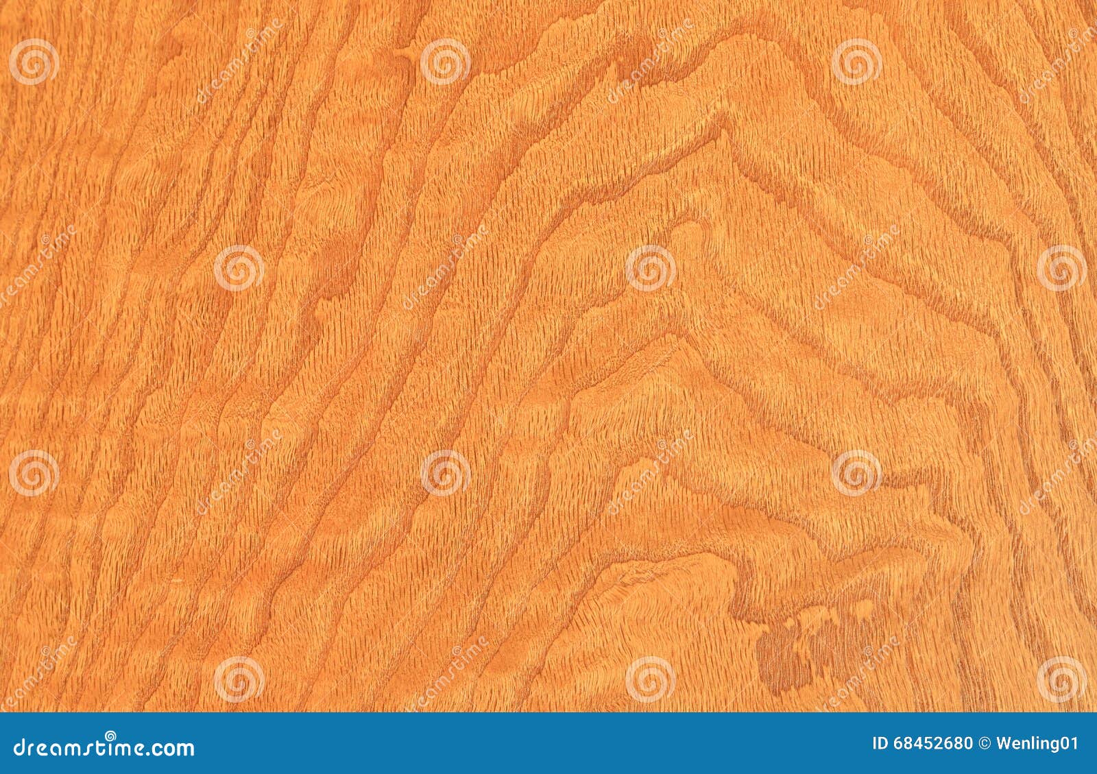Wood Textures. Texture Relief. Breeds Of Solid Wood. Royalty-Free Stock ...