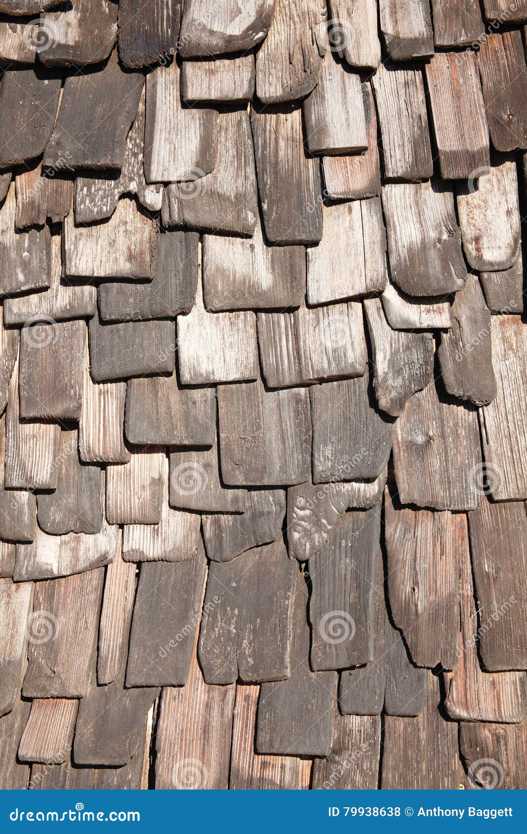 Old Wood Tile Texture Background Stock Photography | CartoonDealer.com ...