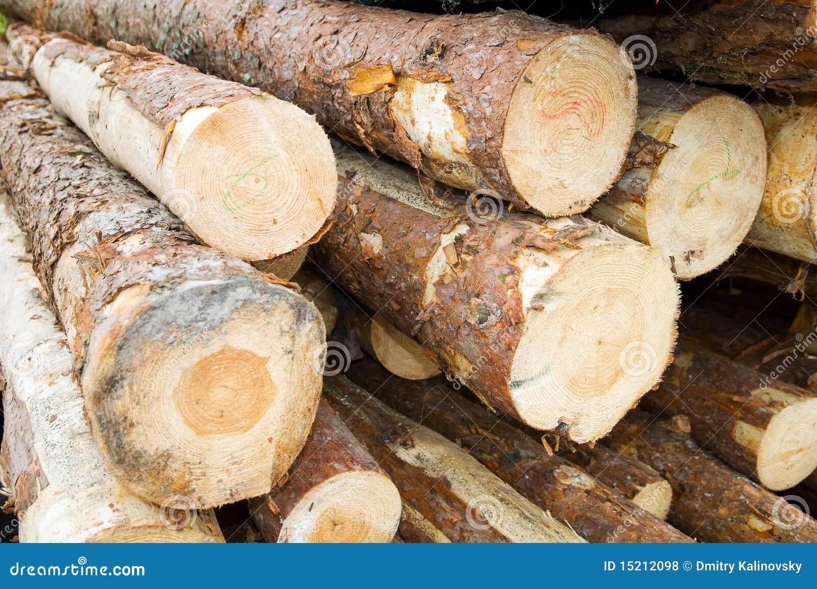 Wood timber stock photo. Image of pine, stem, trunk, background - 15212098
