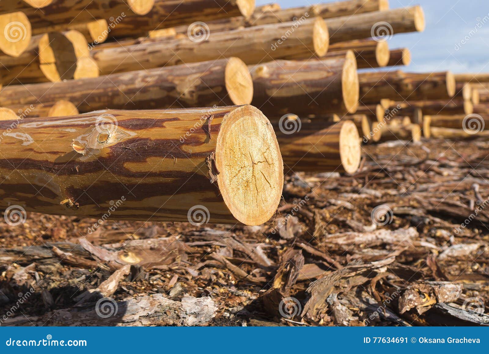 Wood Timber Construction Material for Background and Texture.. Timber ...