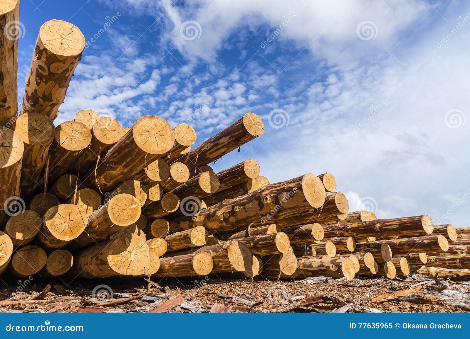 Wood Timber Construction Material for Background and Texture.. Timber ...