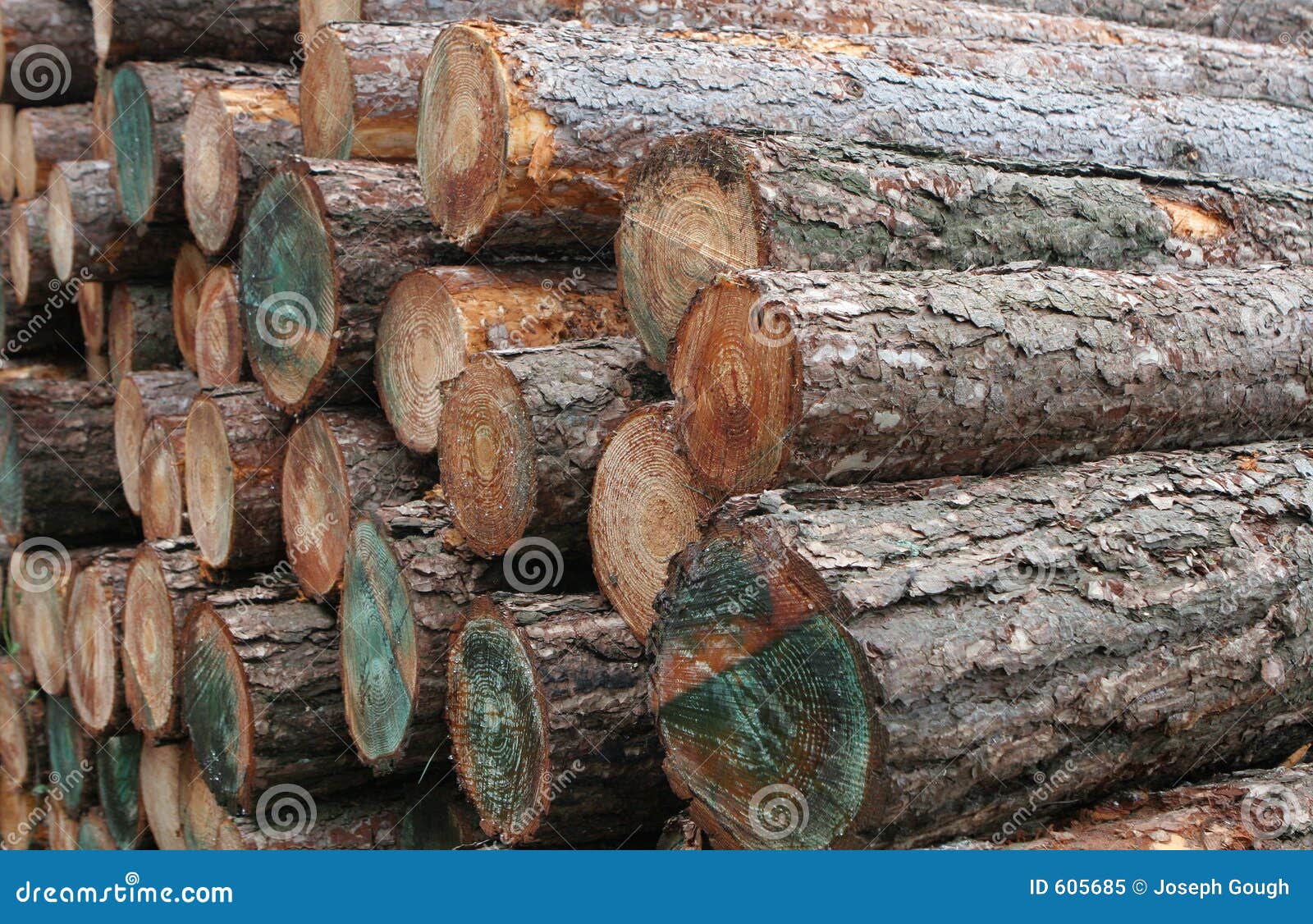 Wood Timber Logs stock image. Image of tree, rough, background - 605685