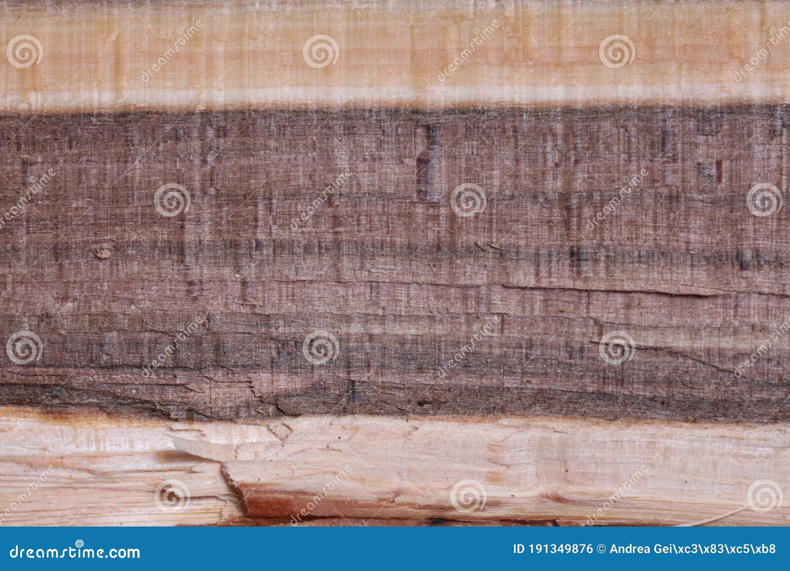 Wood Timber Tree Background Template Stock Photo - Image of material ...