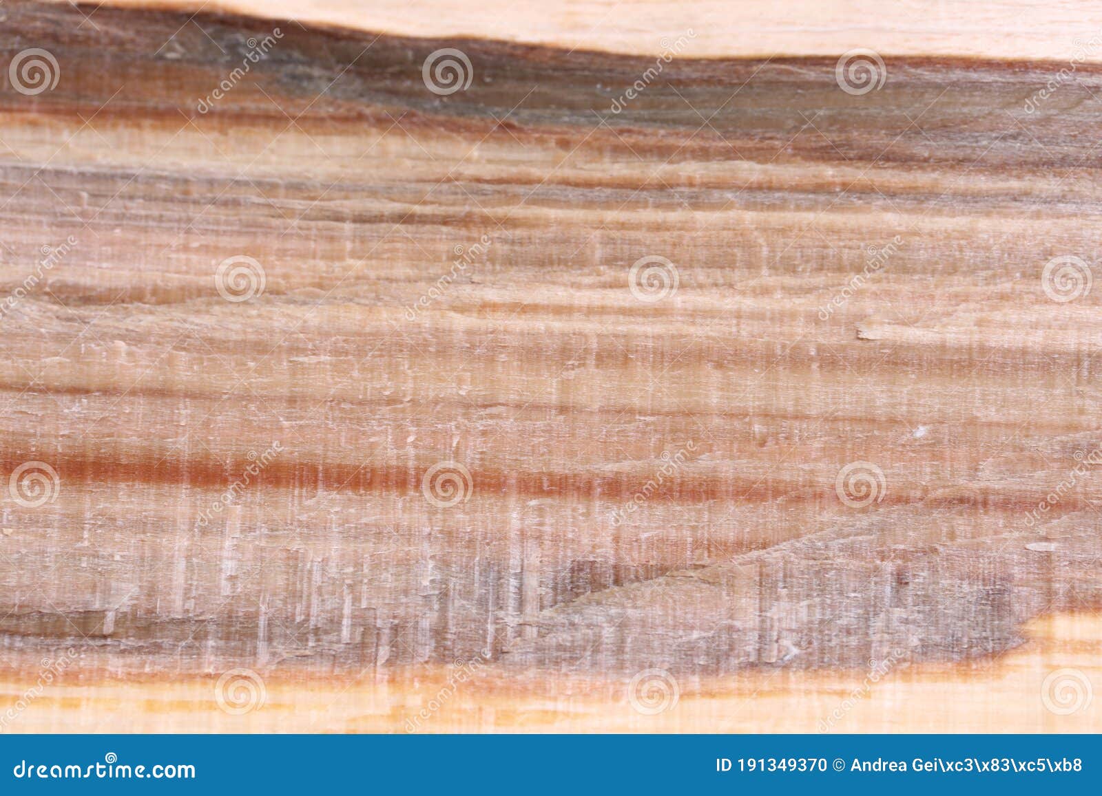 Wood Timber Tree Background Template Stock Photo - Image of element ...