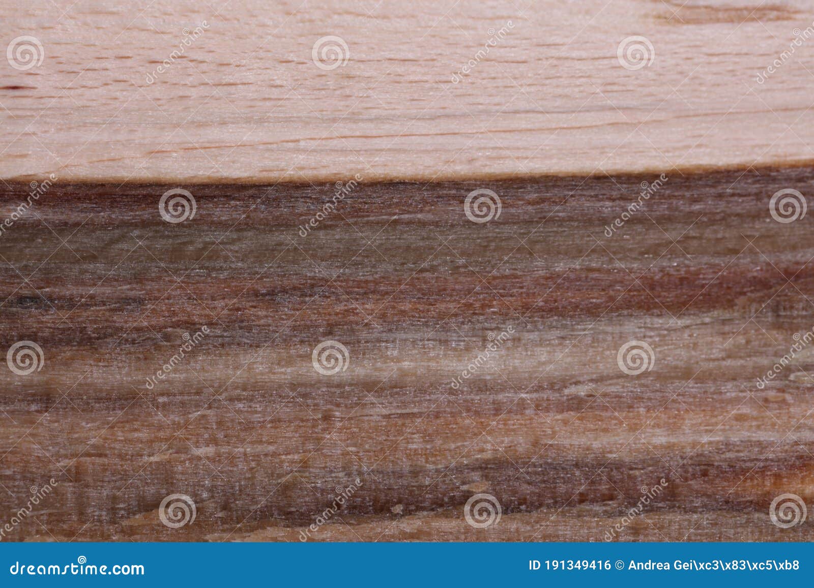Wood Timber Tree Background Template Stock Photo - Image of floor ...