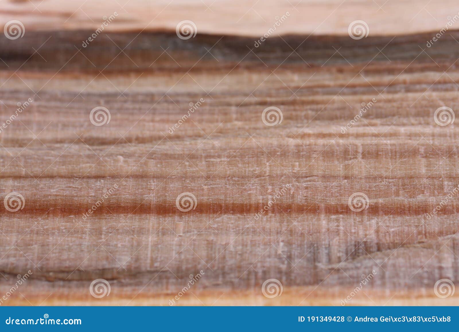 Wood Timber Tree Background Template Stock Photo - Image of rough ...
