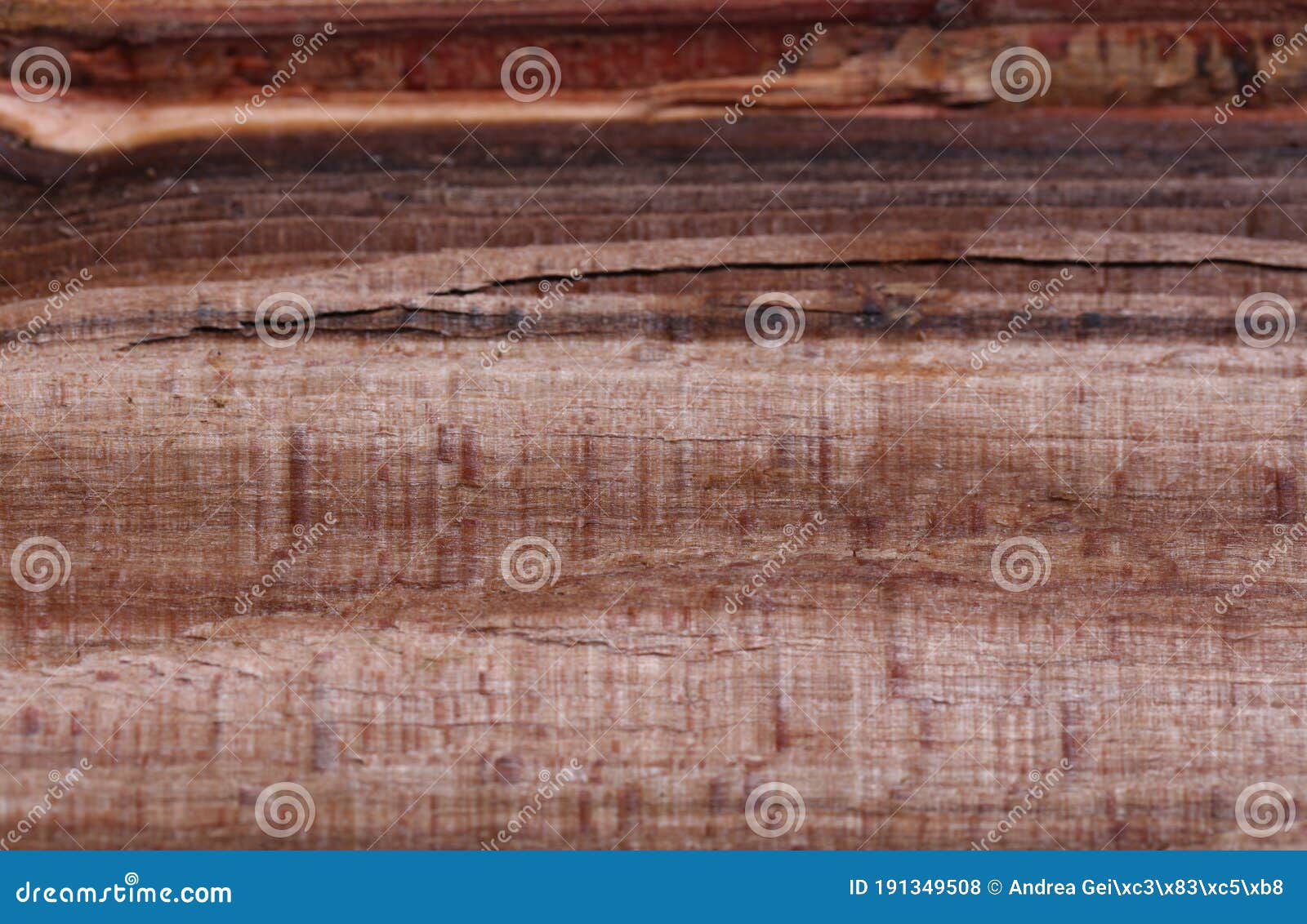 Wood Timber Tree Background Template Stock Photo - Image of patterning ...
