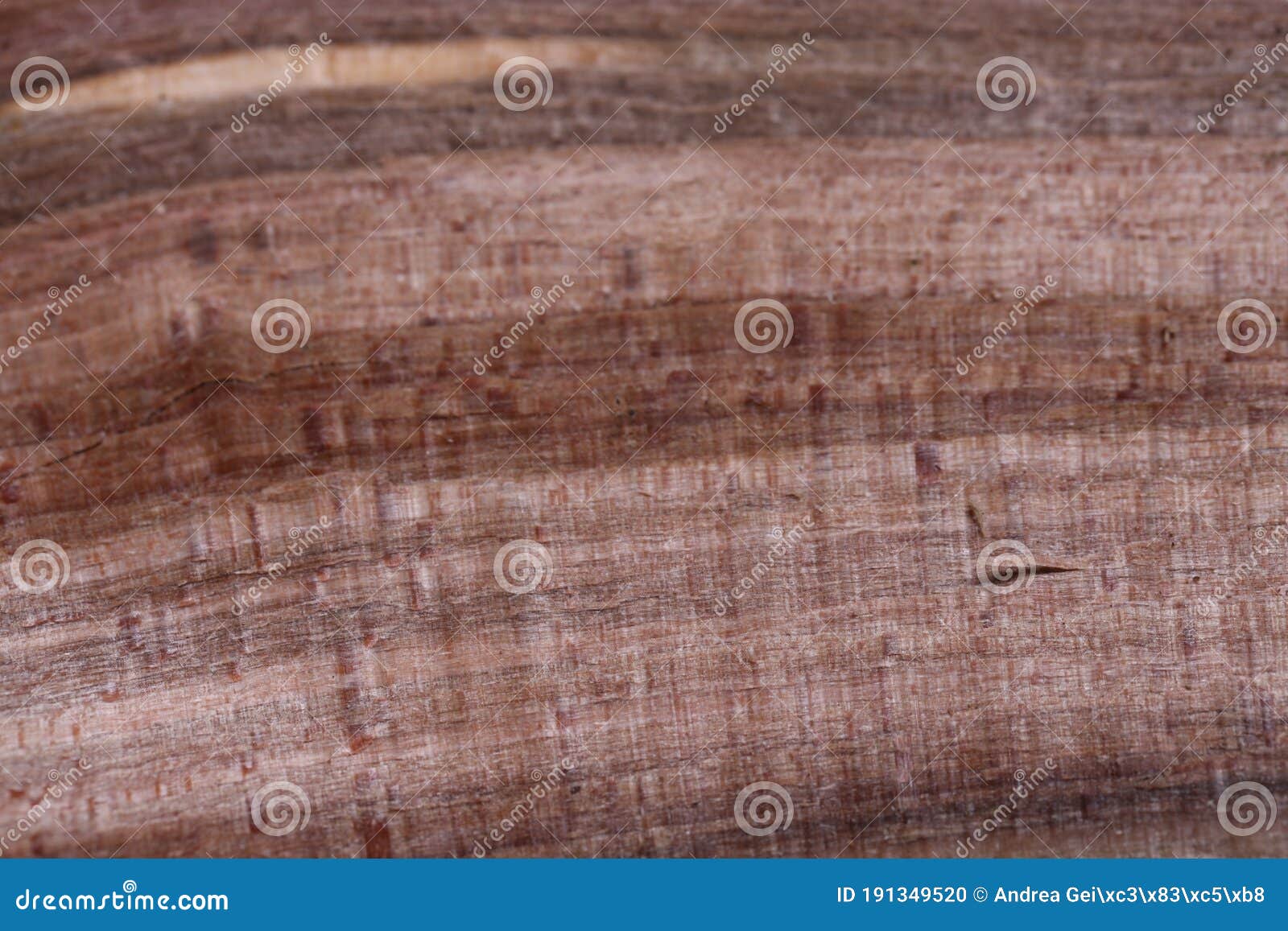 Wood Timber Tree Background Template Stock Photo - Image of material ...
