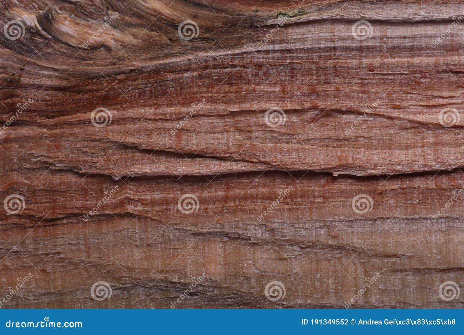 Wood Timber Tree Background Template Stock Photo - Image of element ...