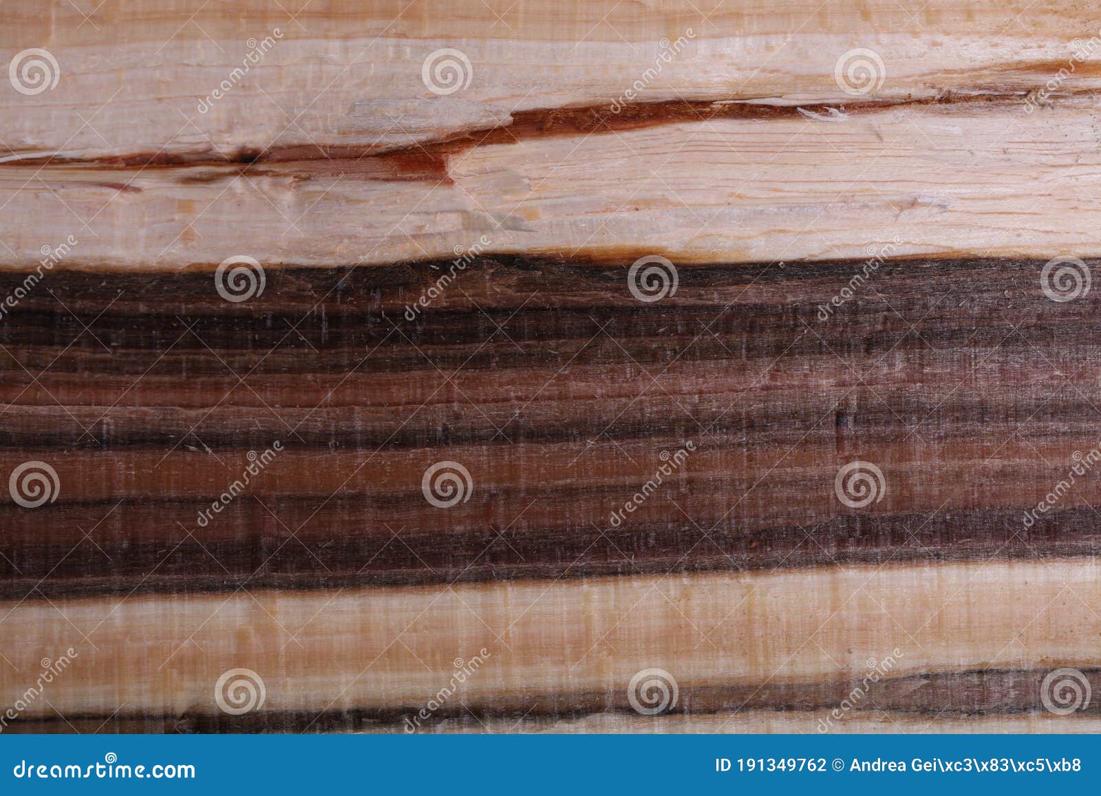 Wood Timber Tree Background Template Stock Photo - Image of outdoor ...
