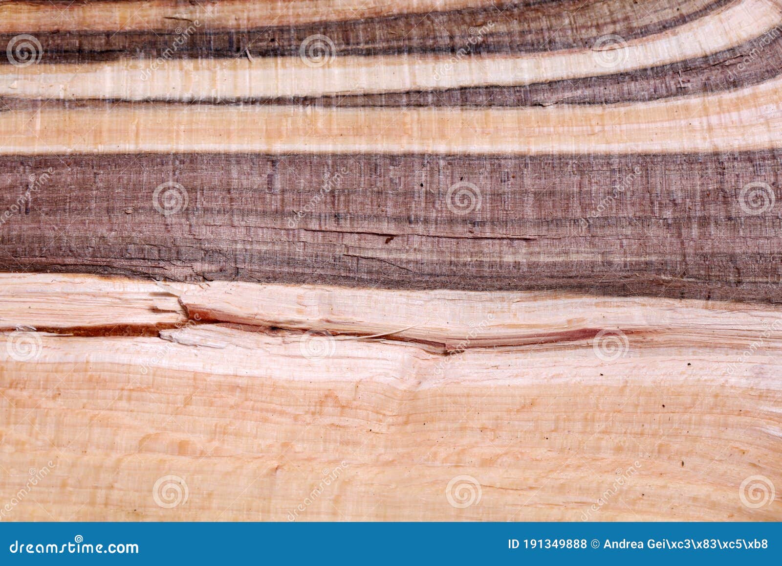 Wood Timber Tree Background Template Stock Photo - Image of structure ...