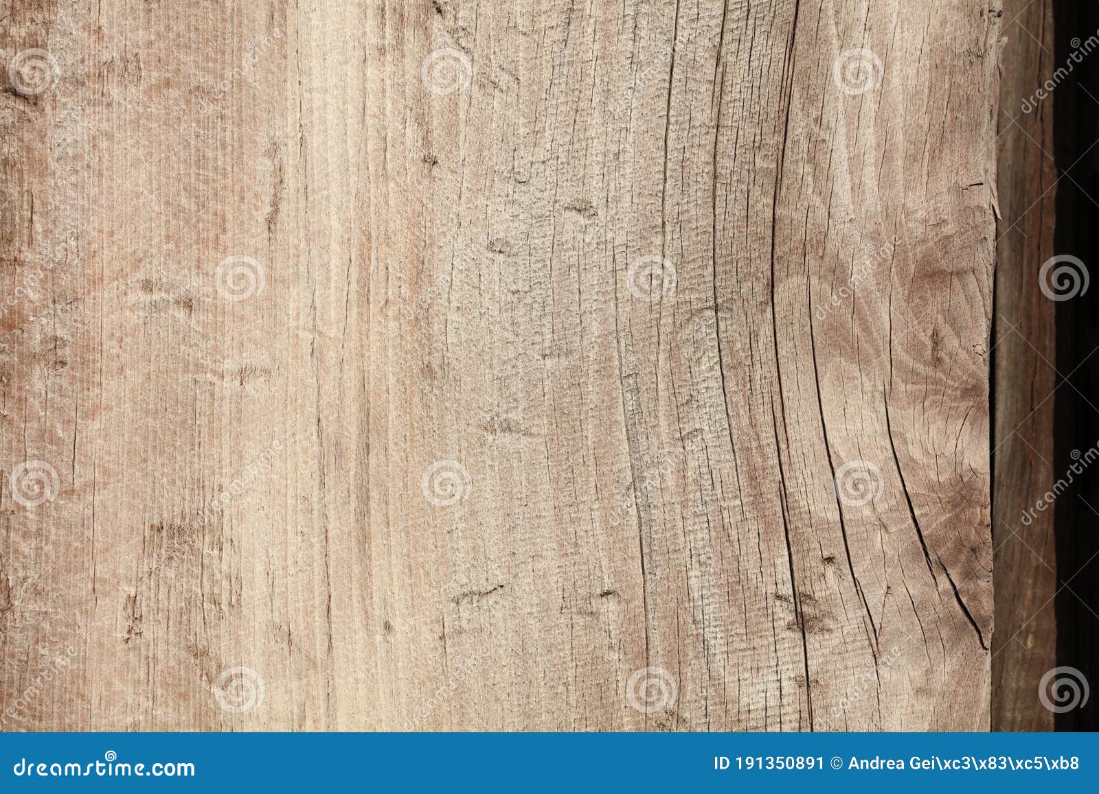 Wood Timber Tree Background Template Stock Image - Image of floor ...