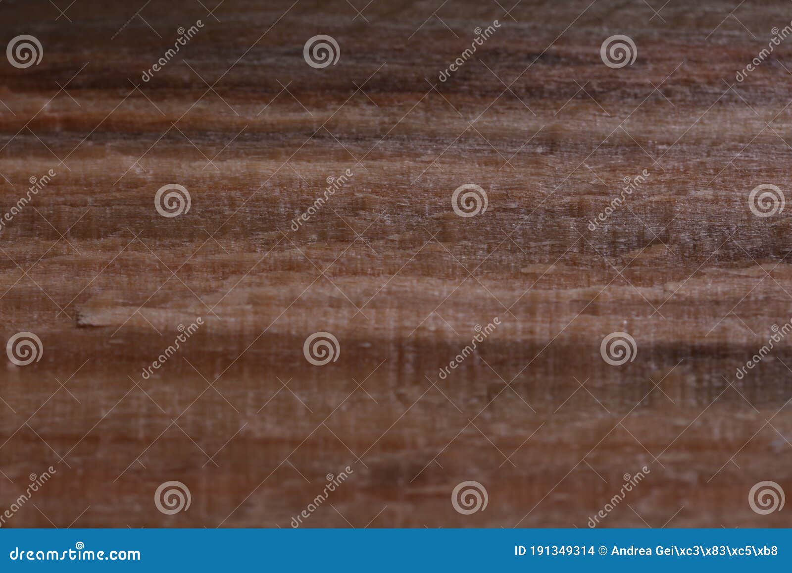 Wood Timber Tree Background Template Stock Photo - Image of hand, board ...