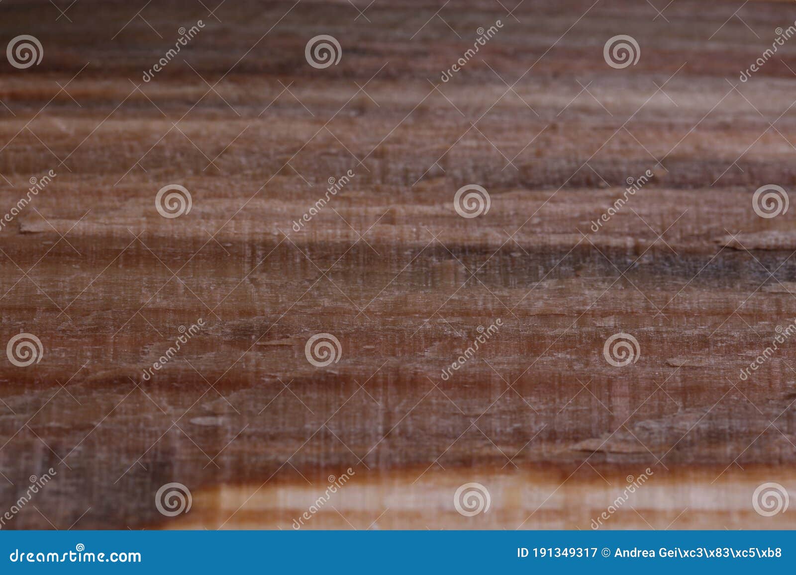 Wood Timber Tree Background Template Stock Image - Image of grain ...