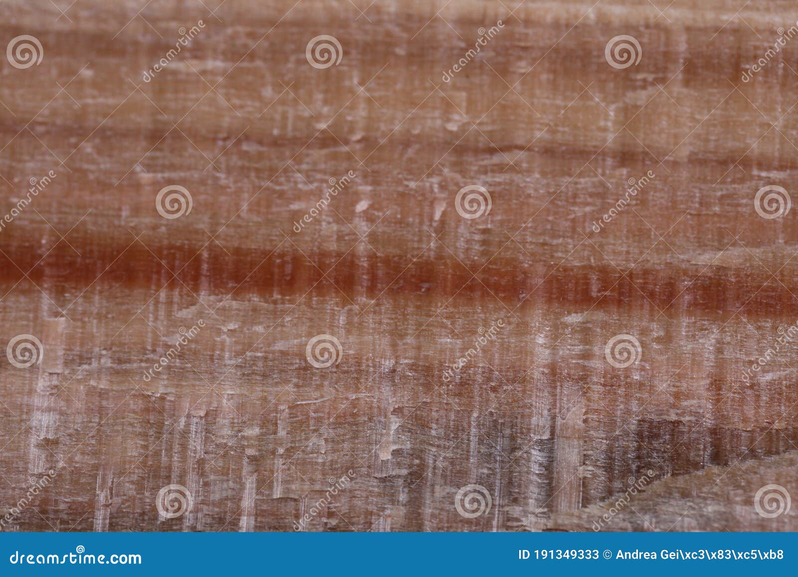 Wood Timber Tree Background Template Stock Image - Image of patterning ...