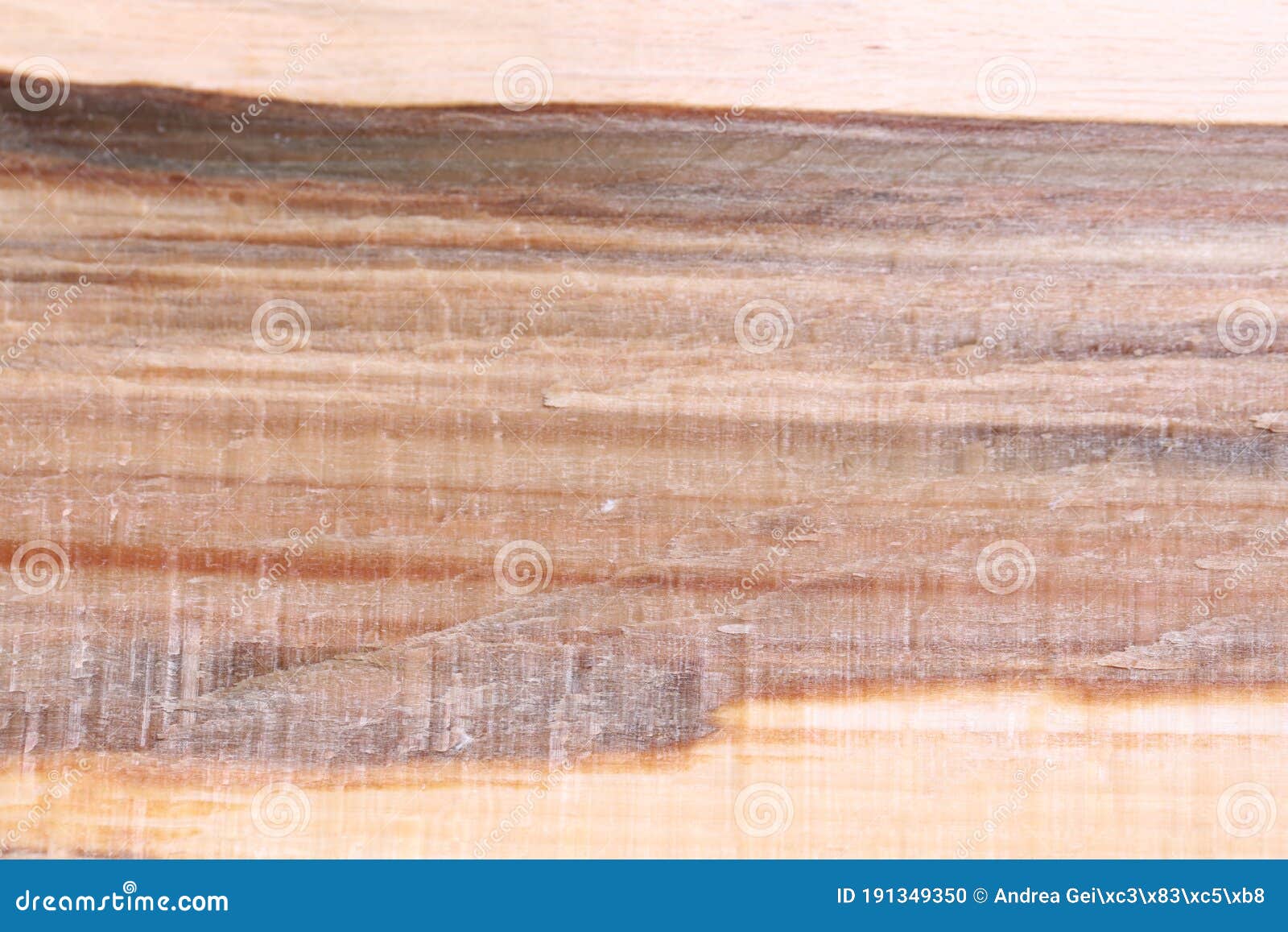Wood Timber Tree Background Template Stock Photo - Image of outdoor ...