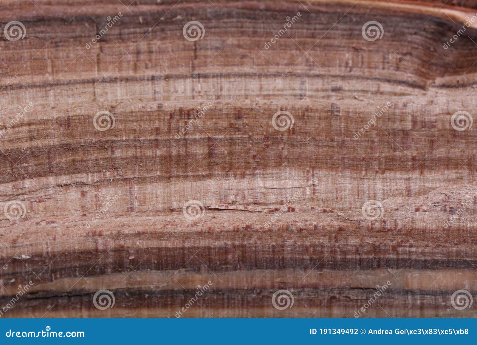 Wood Timber Tree Background Template Stock Photo - Image of effects ...