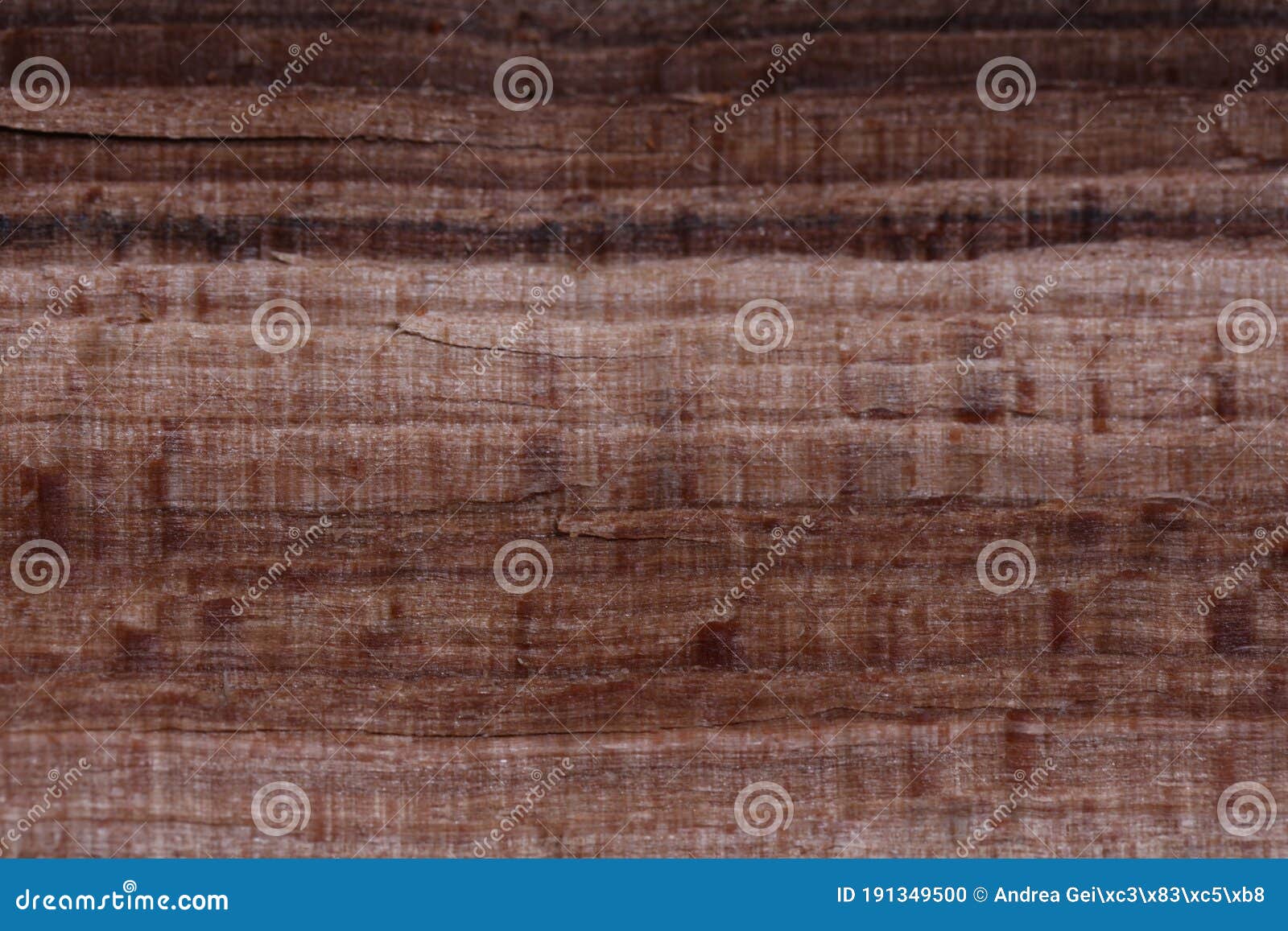 Wood Timber Tree Background Template Stock Photo - Image of retro ...