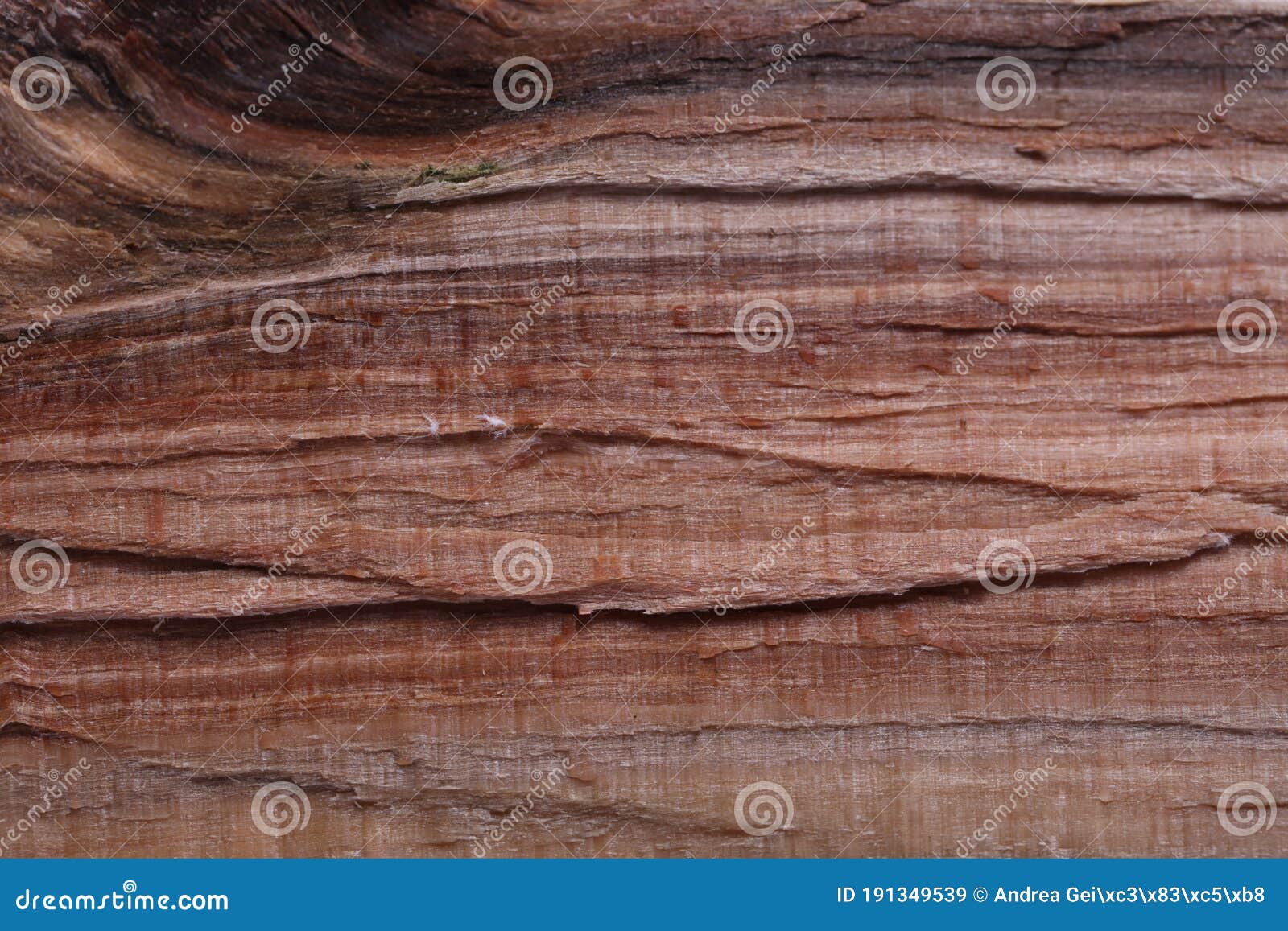 Wood Timber Tree Background Template Stock Image - Image of boards ...