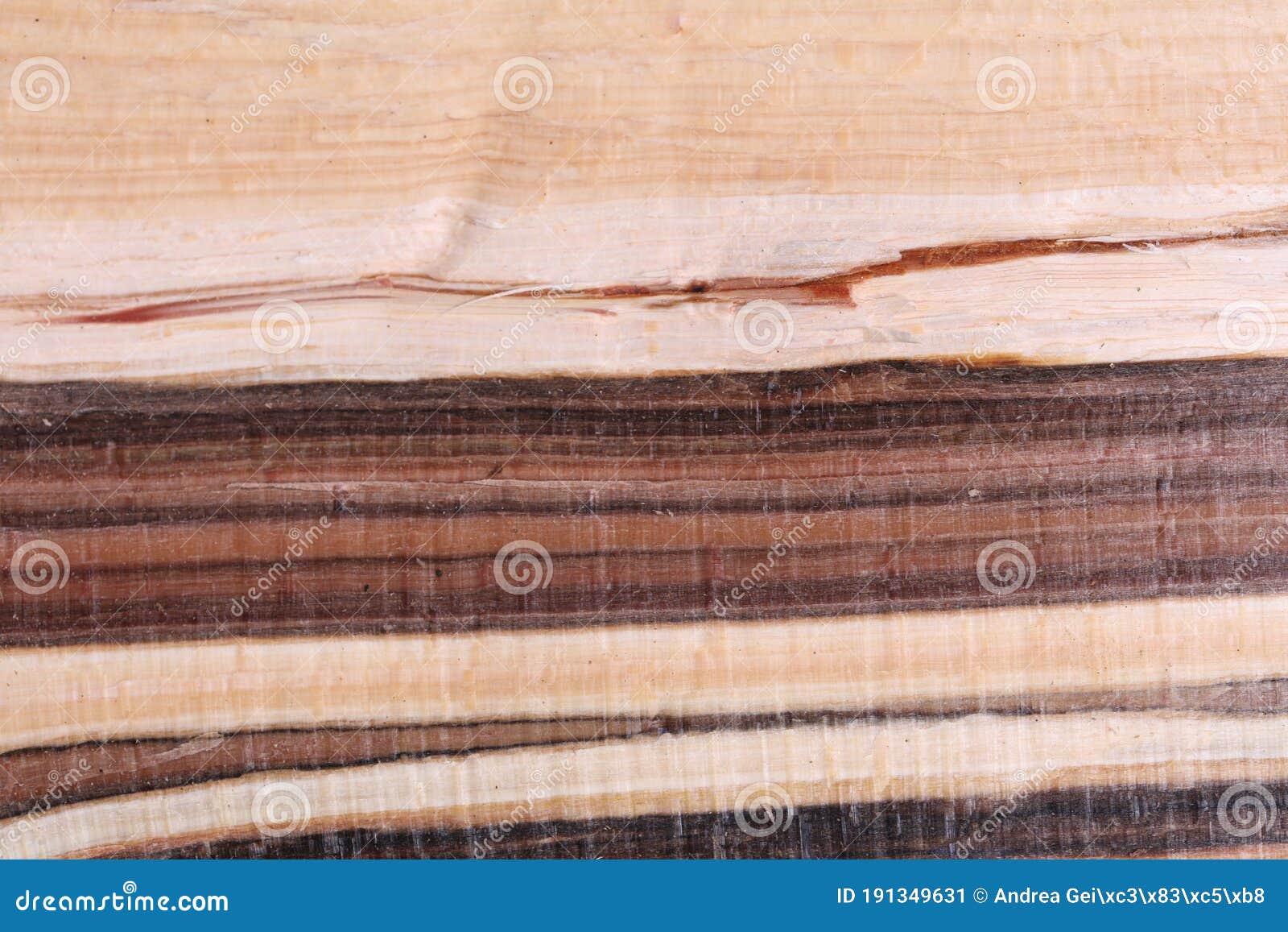 Wood Timber Tree Background Template Stock Image - Image of grain ...