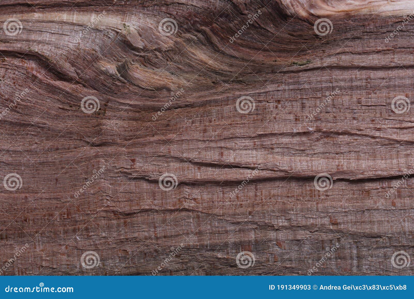 Wood Timber Tree Background Template Stock Image - Image of frame ...