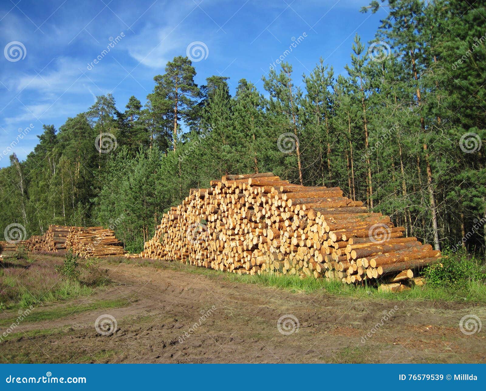 Wood timbers stock image. Image of wood, natural, fire - 76579539