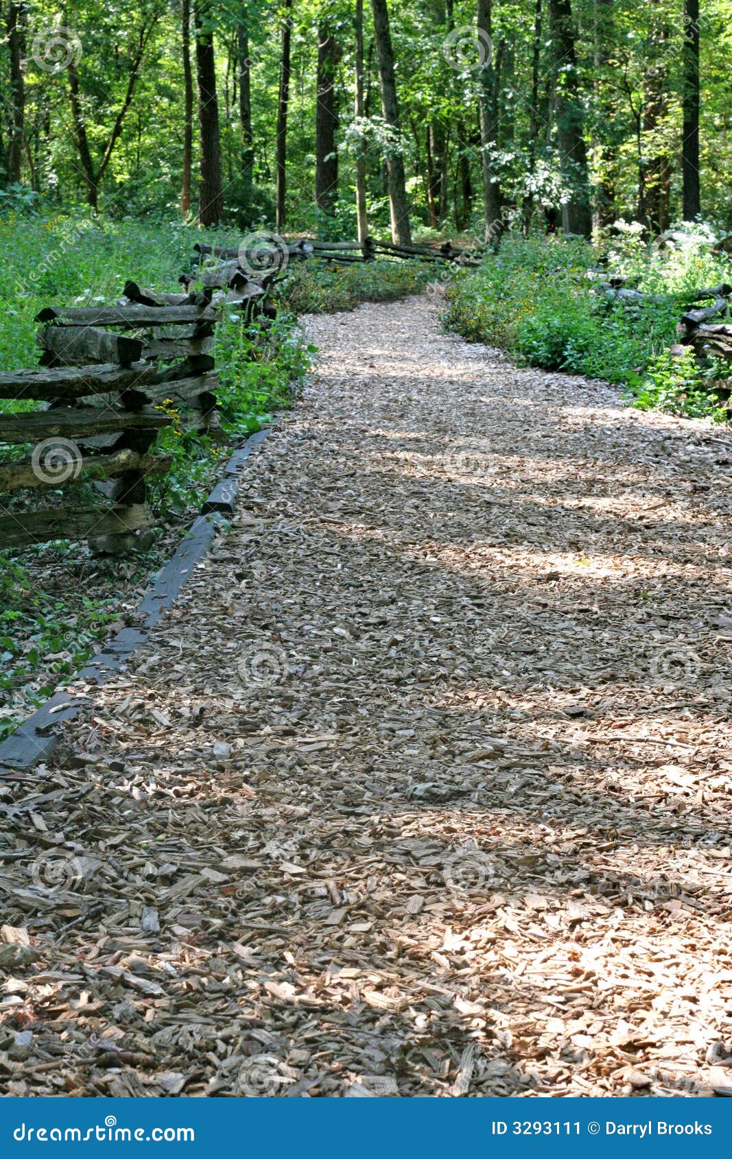 Wood Trail stock image. Image of bark, plants, forest - 3293111