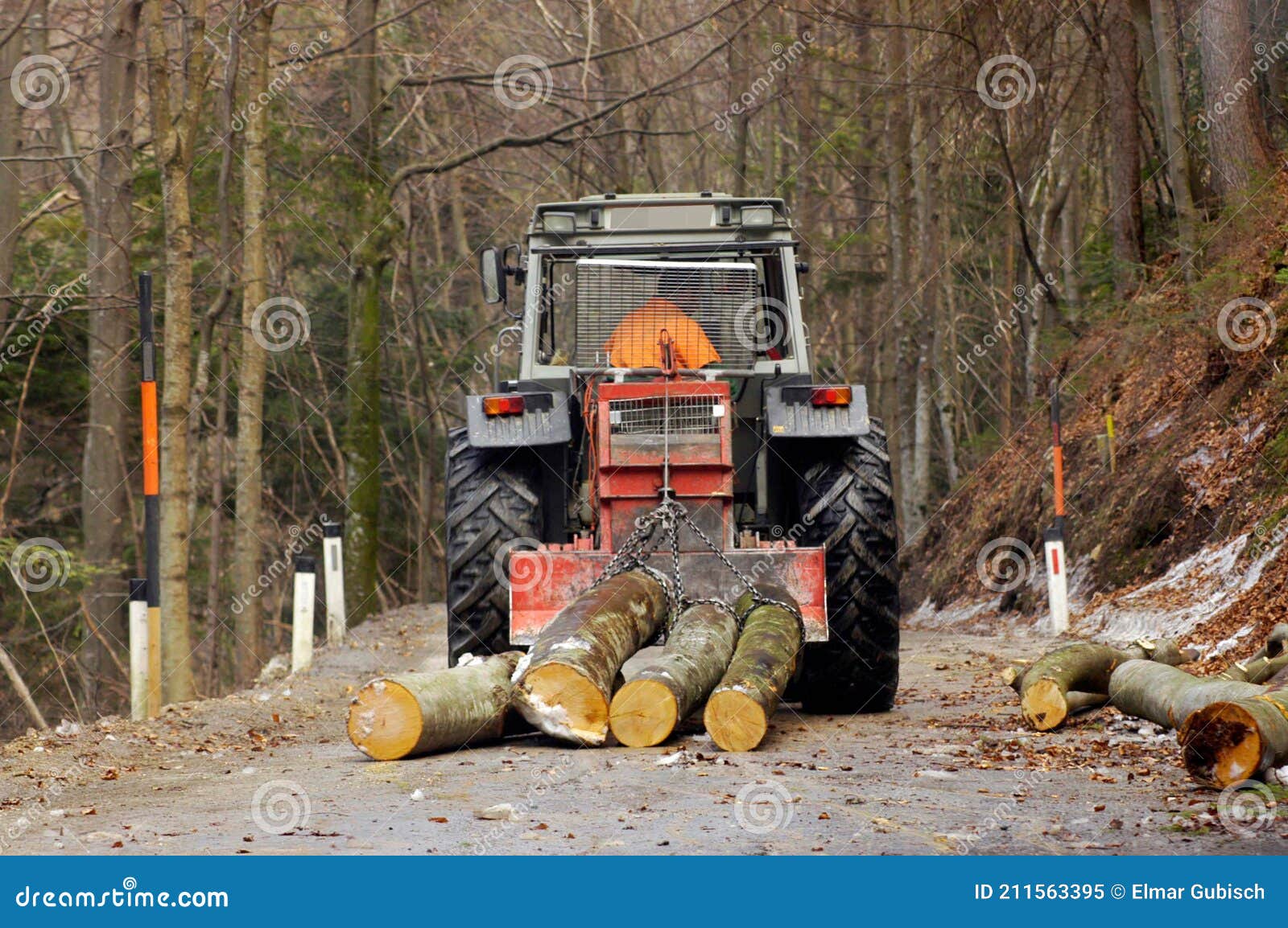 Wood Transport and Logistics in Forestry Stock Image - Image of company ...