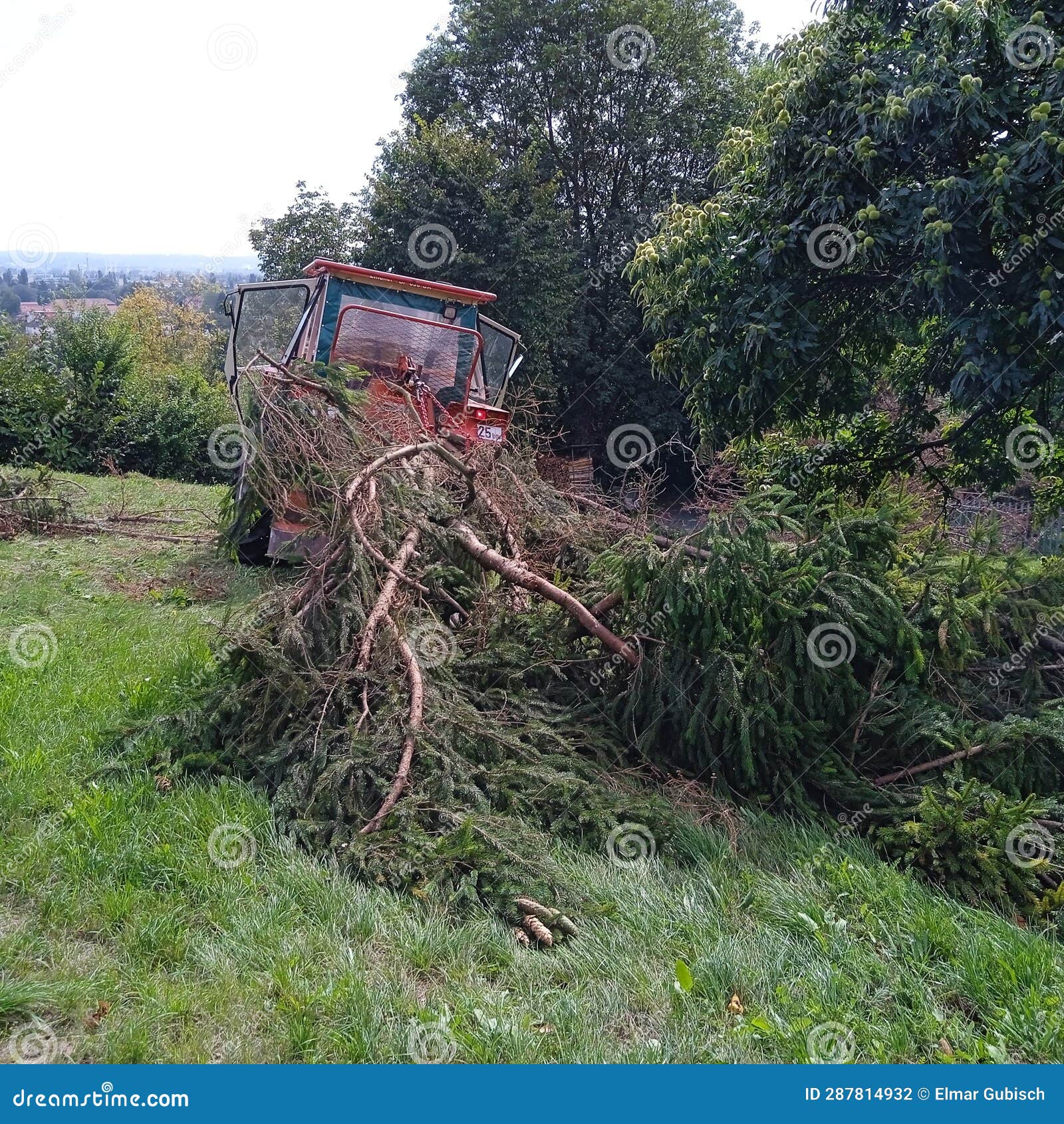 Wood Transport and Logistics in Forestry Stock Photo - Image of ...