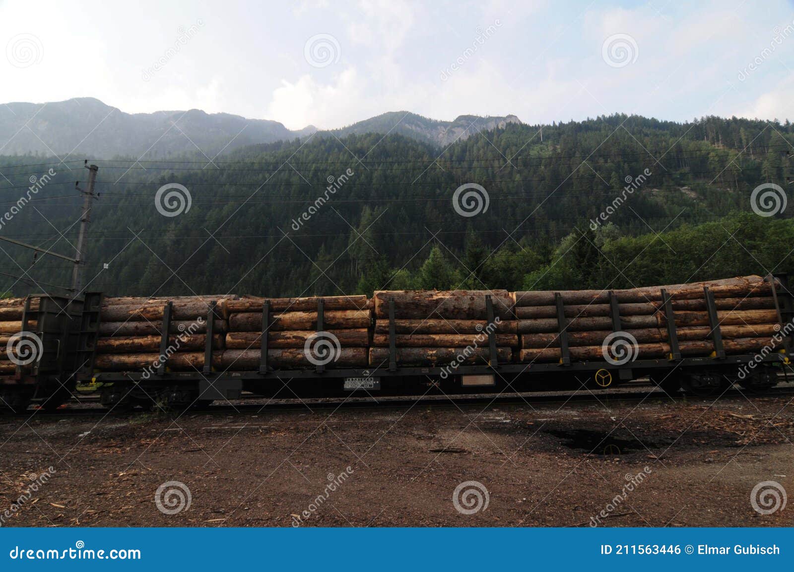 Wood Transport by Train and Logistics in Forestry Stock Photo - Image ...