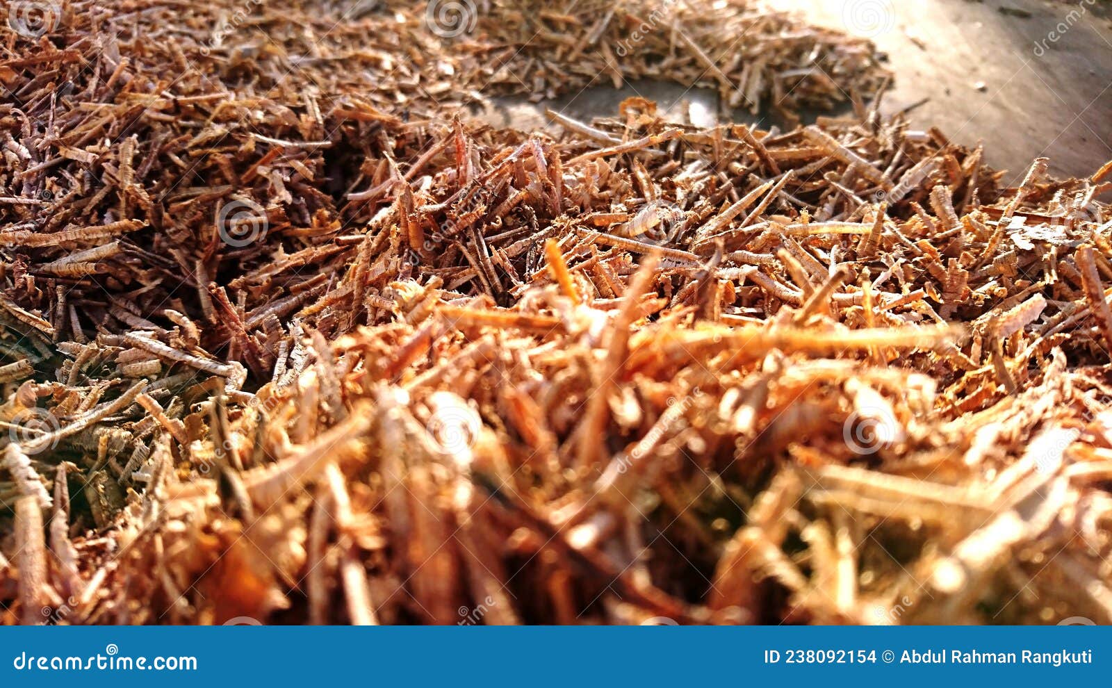 Wood Trash by Carpenters stock photo. Image of wood - 238092154