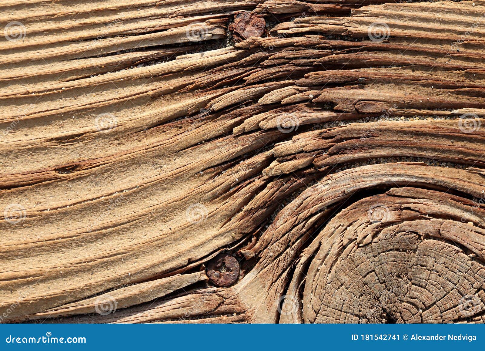 Wood with Tree Knot Texture. Stock Image - Image of tree, natural ...