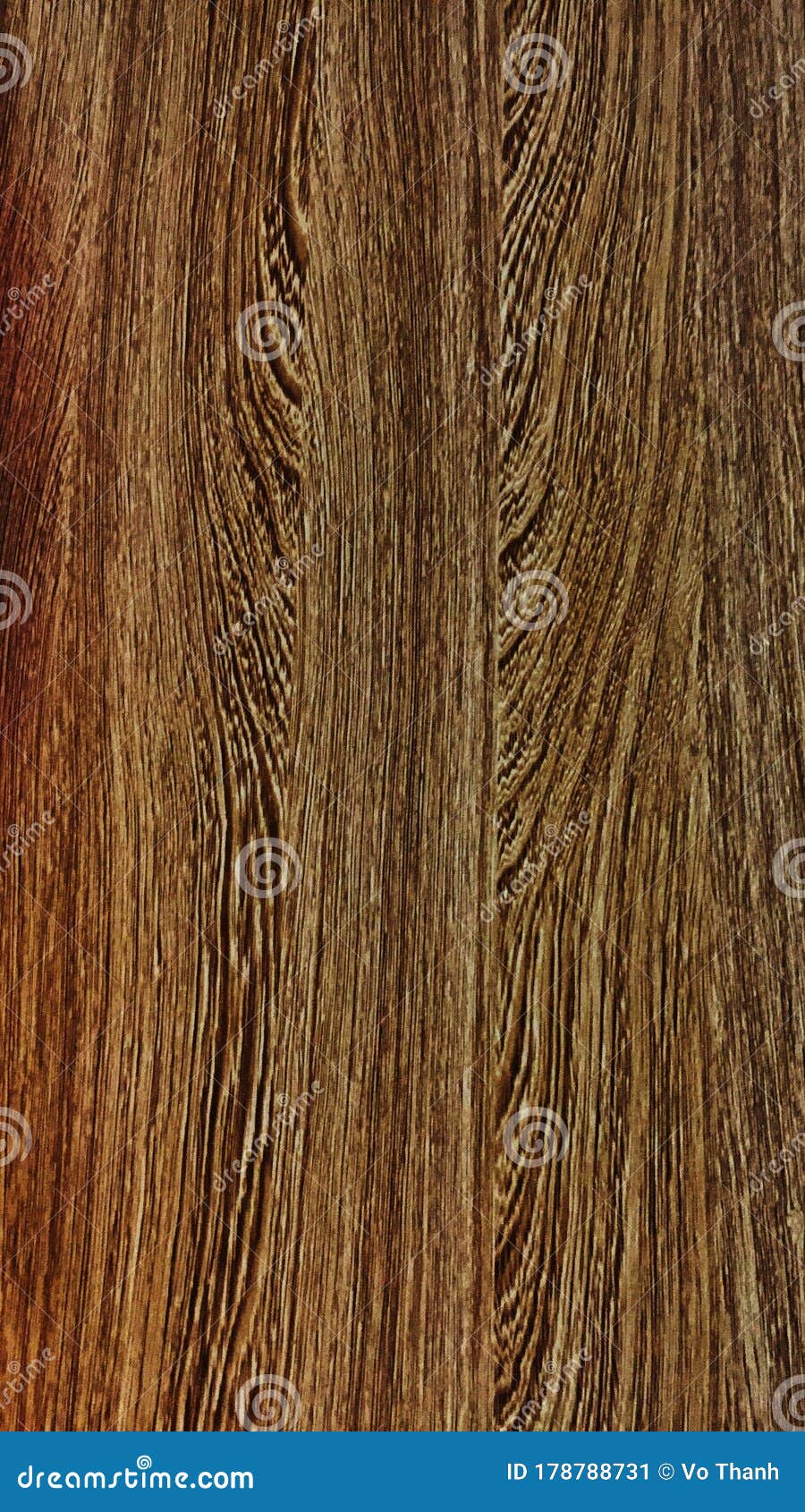 The wood from the tree stock image. Image of wood, trees - 178788731