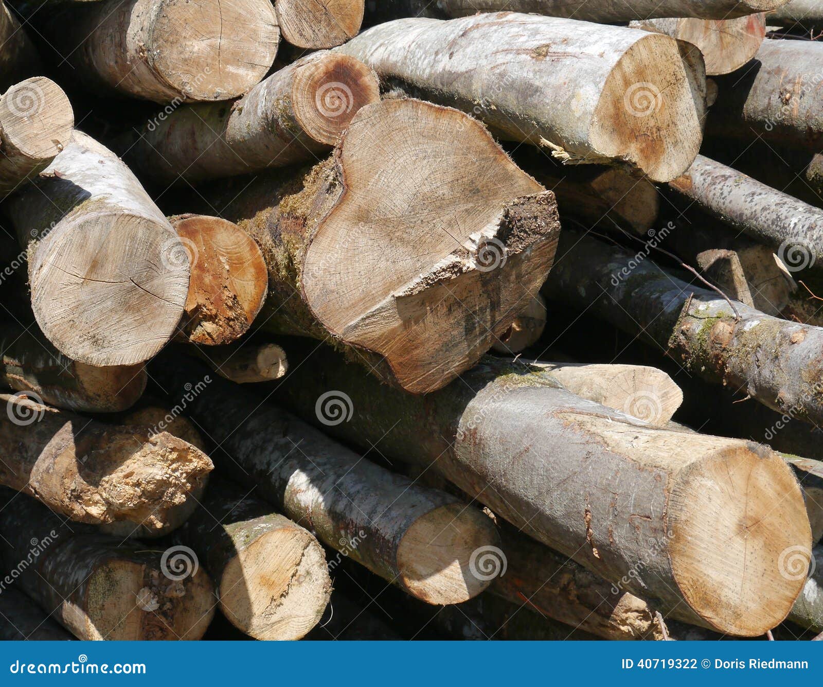 Wood , Tree Trunk, Material, Construction, Forest Stock Photo - Image ...