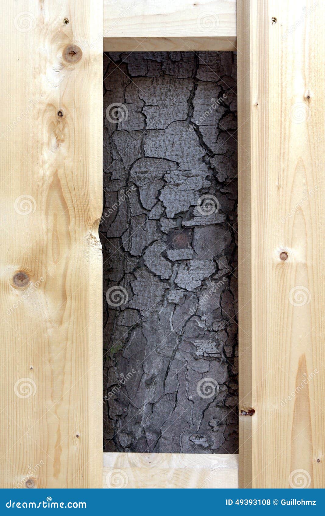 Wood trunk in Frame stock photo. Image of trunk, original - 49393108
