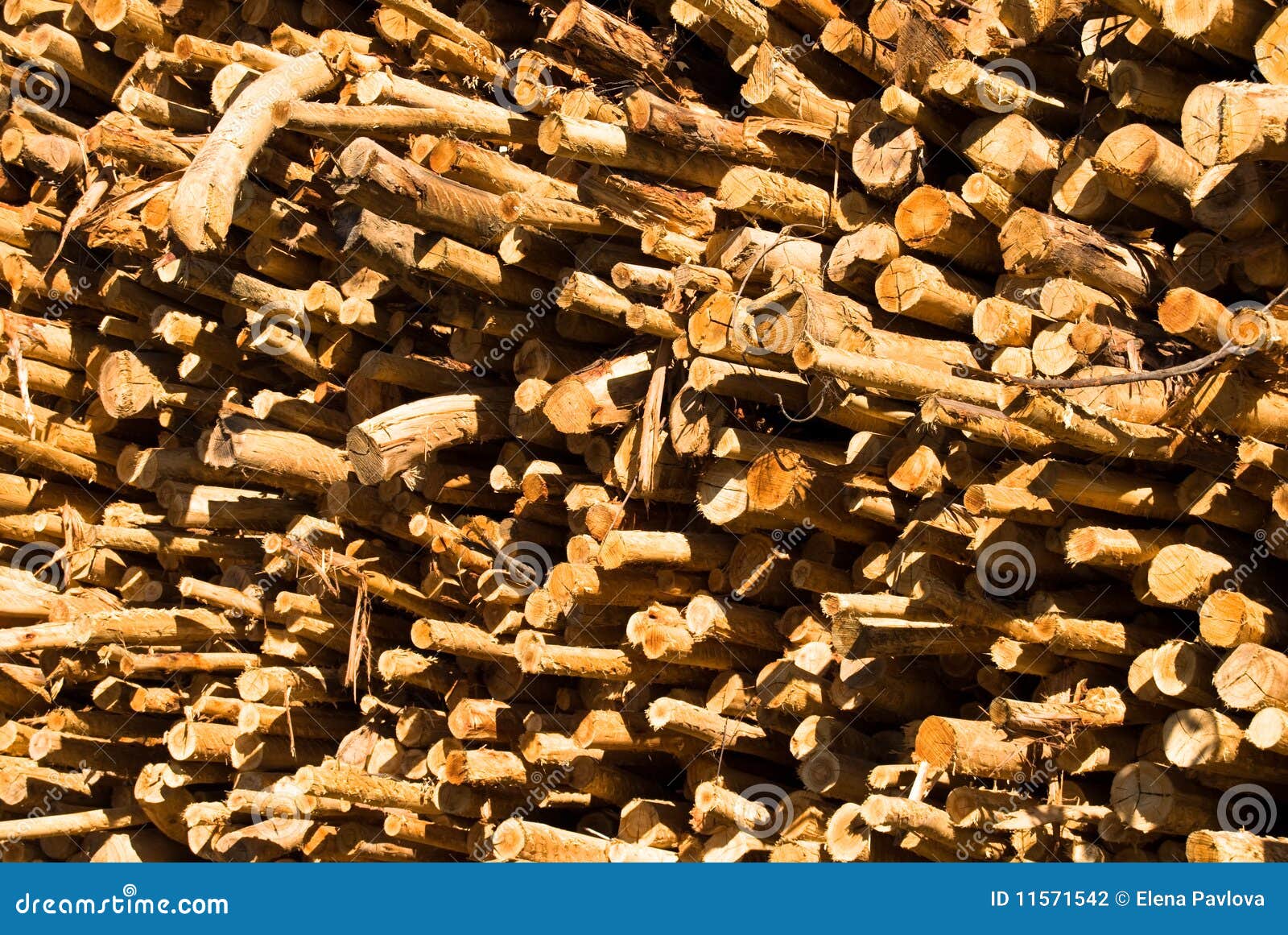 Wood trunks stock photo. Image of firewood, lumber, outdoors - 11571542