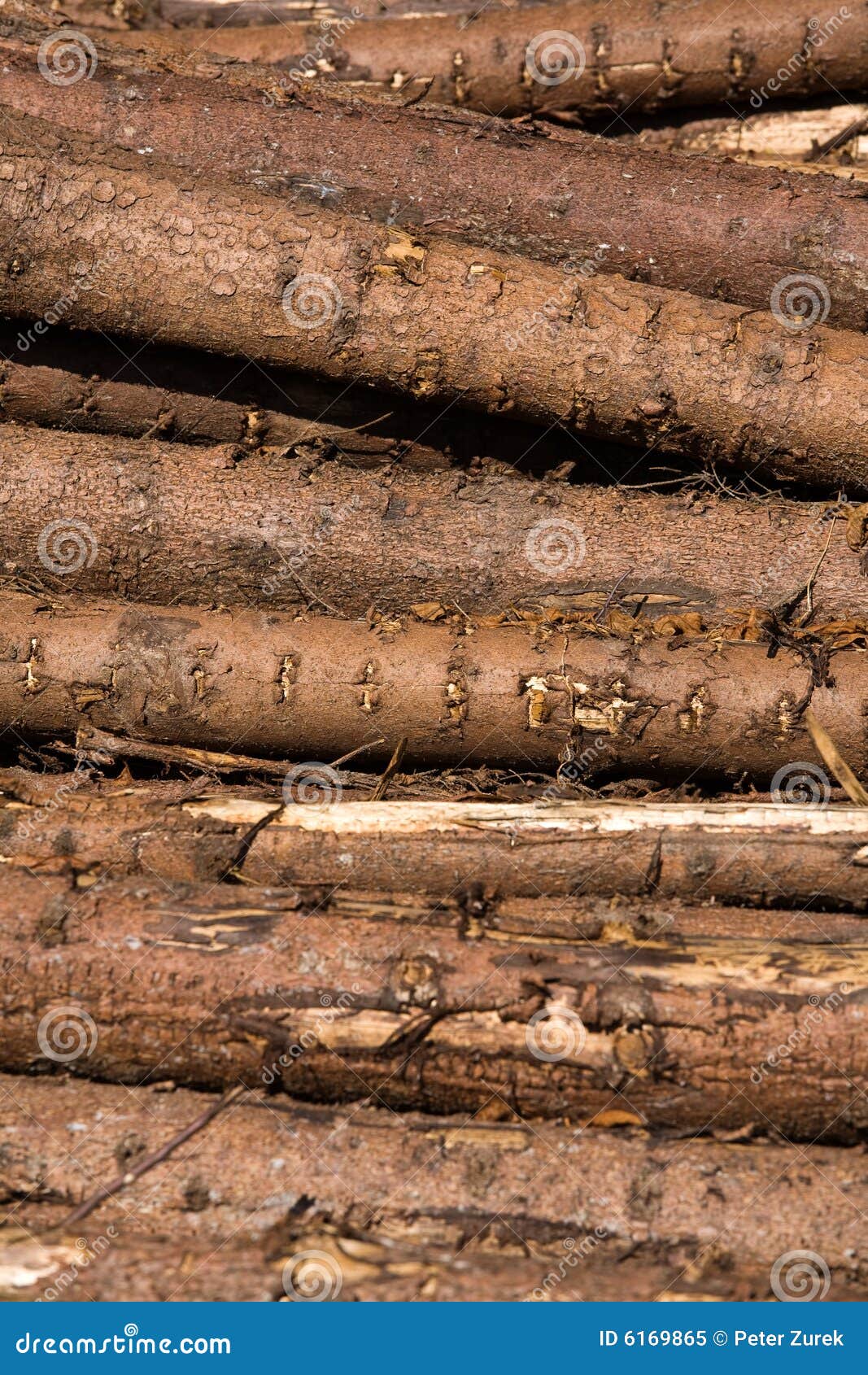 Wood trunks stock image. Image of shapes, nature, background - 6169865