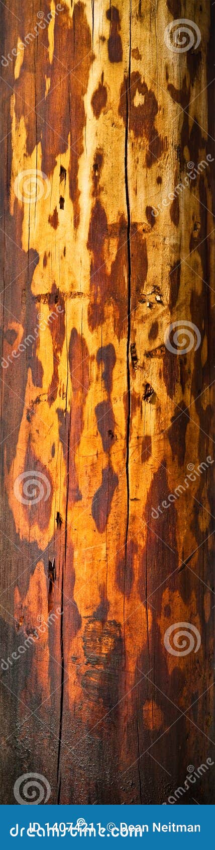 Tared Stock Photos - Free & Royalty-Free Stock Photos from Dreamstime