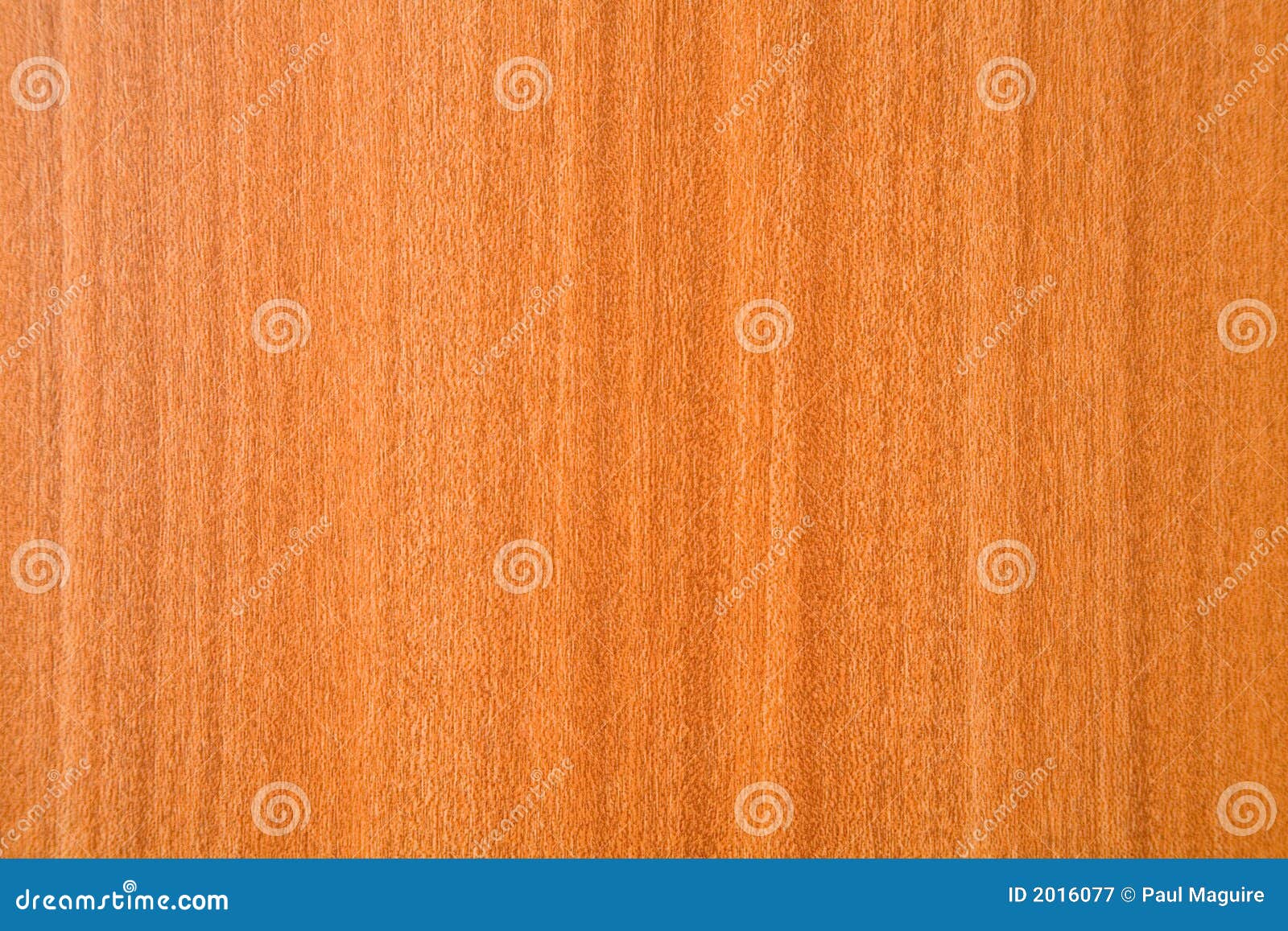 Wood veneer texture stock image. Image of designs, space - 2016077