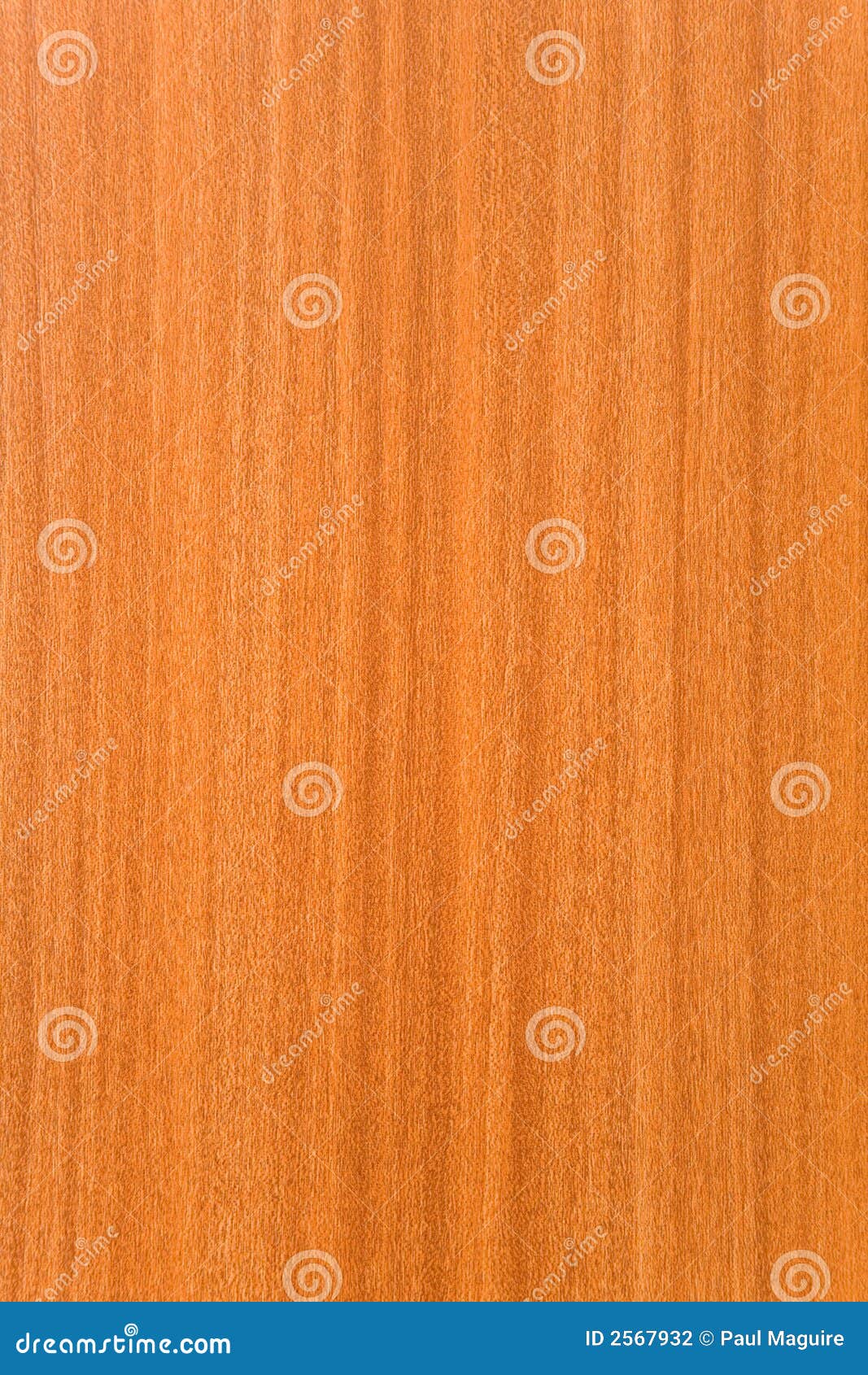 Wood veneer texture stock photo. Image of grained, detail - 2567932