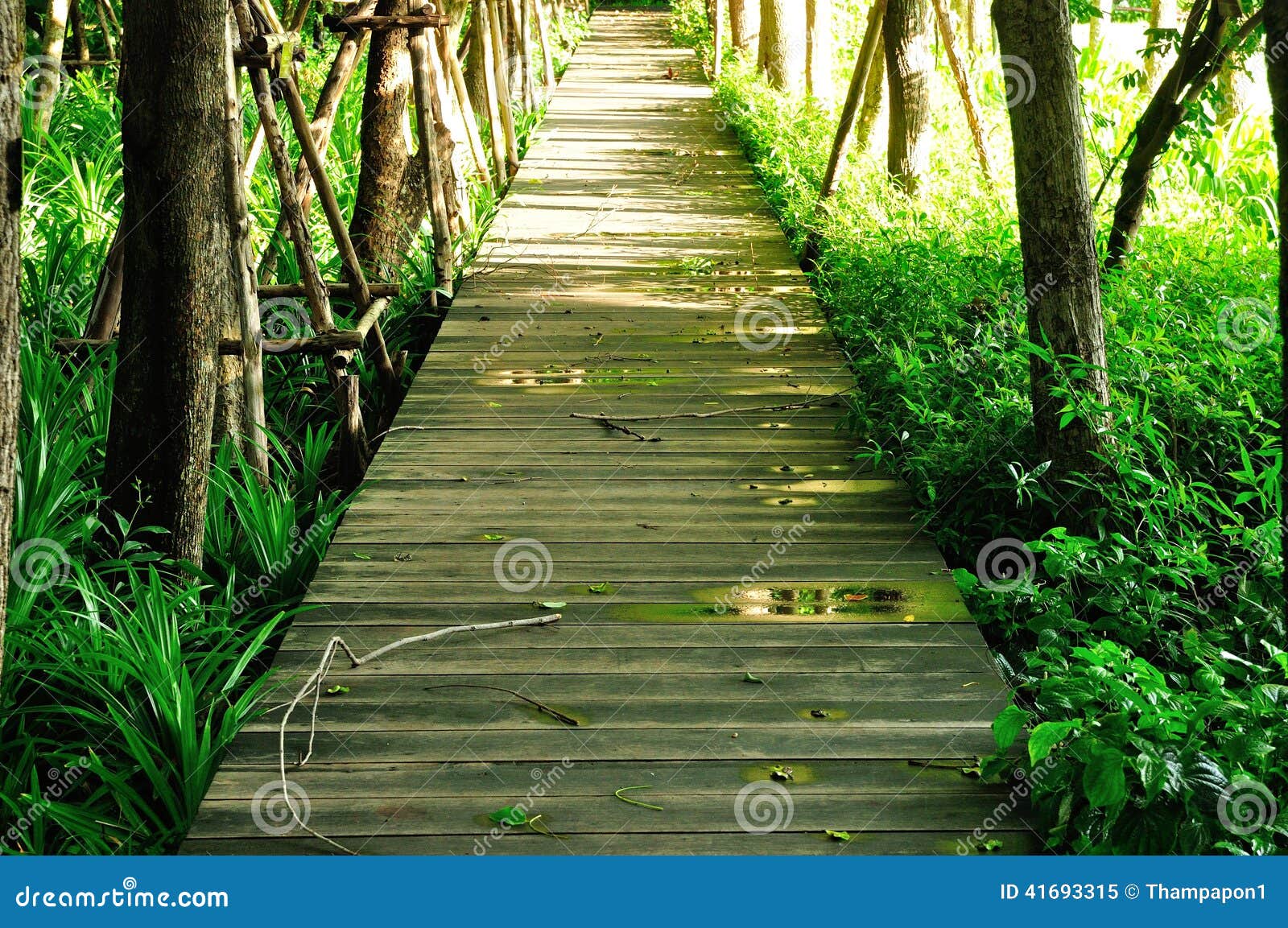 Wood Walk Way stock image. Image of plank, adventure - 41693315