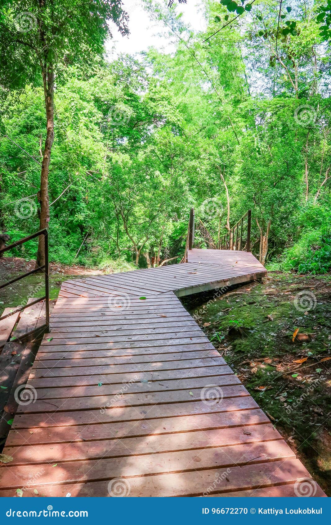 Wood Walk Way in the Tropical Forest Stock Photo - Image of tranquil ...