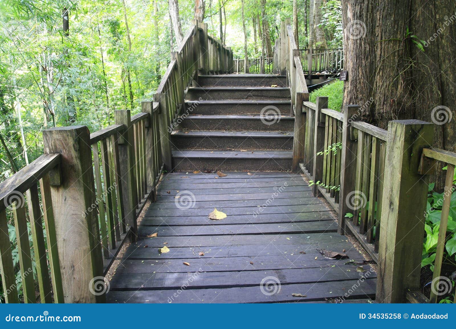 Wood Walkway and Step in Forest Stock Photo - Image of fall, bridge ...