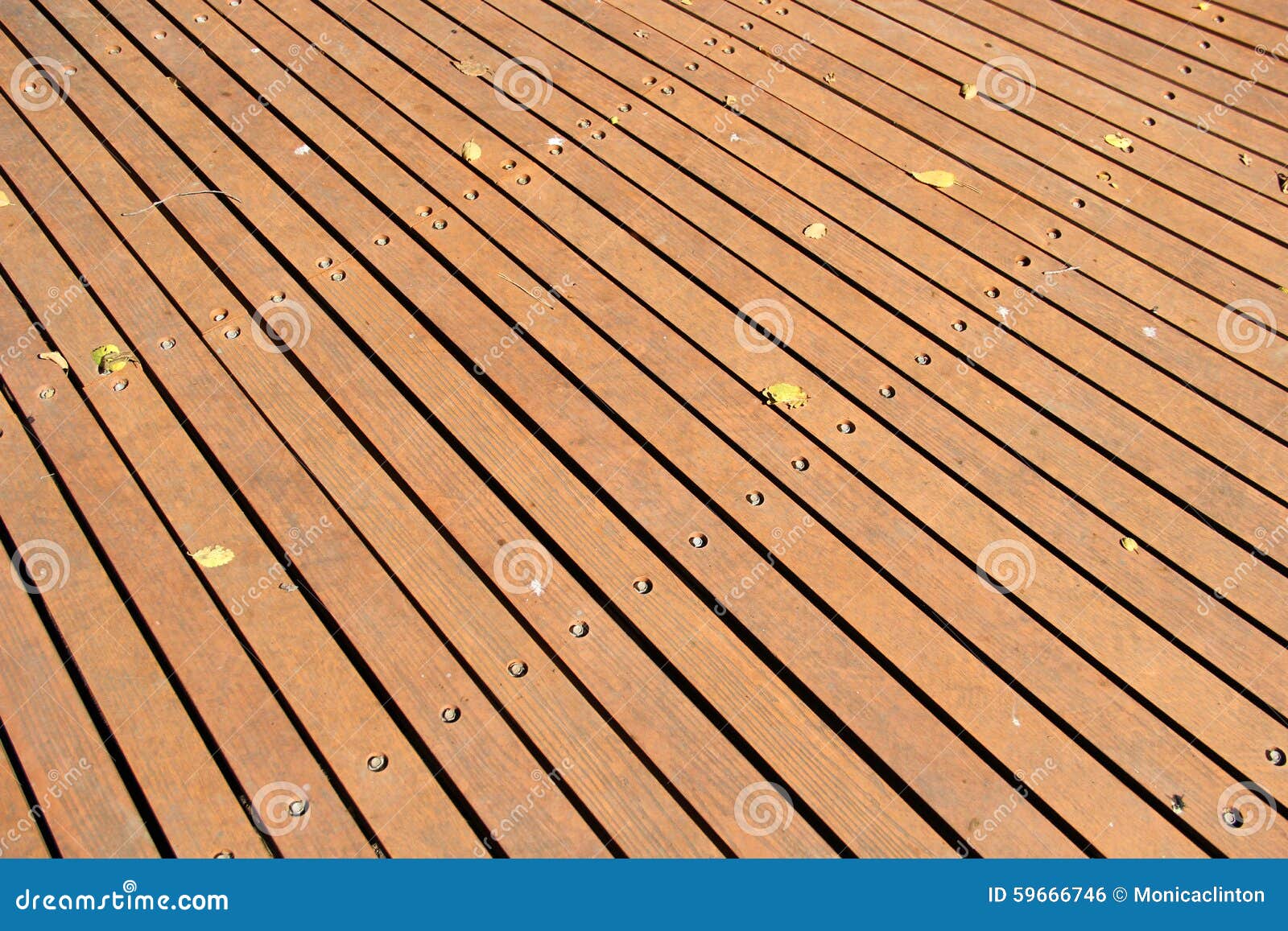 Wood walkway stock photo. Image of blue, park, foliage - 59666746