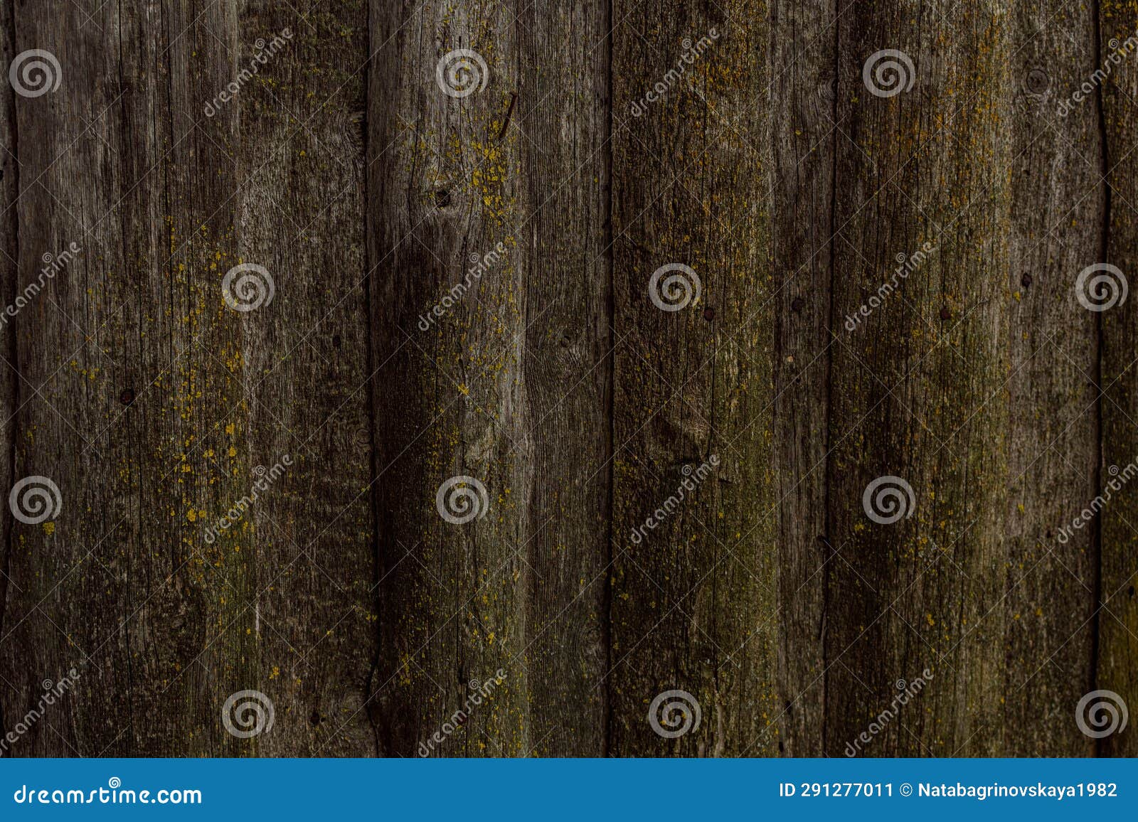 Wood Wall Background Texture Old Wooden Grey Moss Stock Image - Image ...
