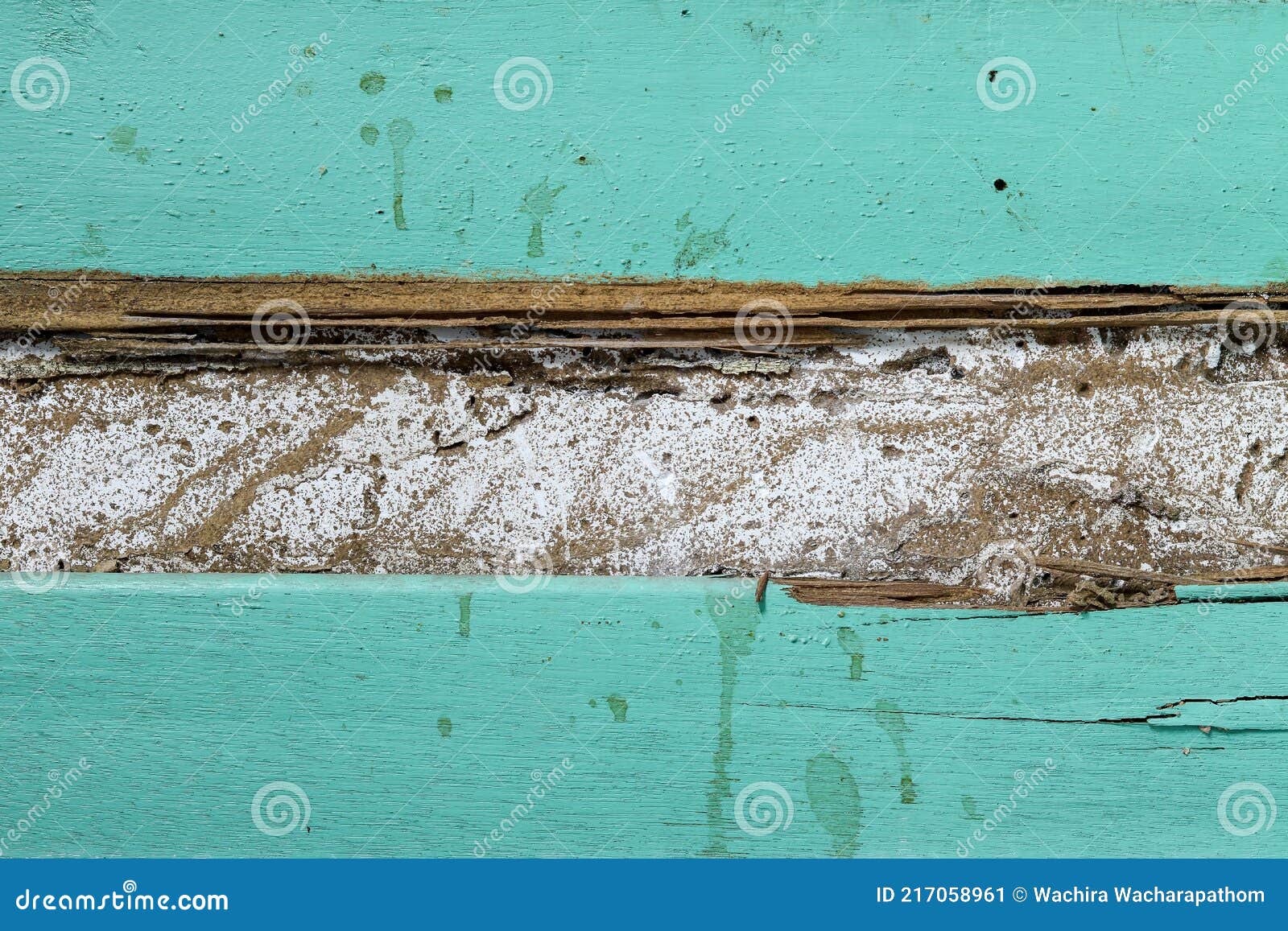 Wood Wall with Termites Damage Stock Image - Image of insect, damage ...